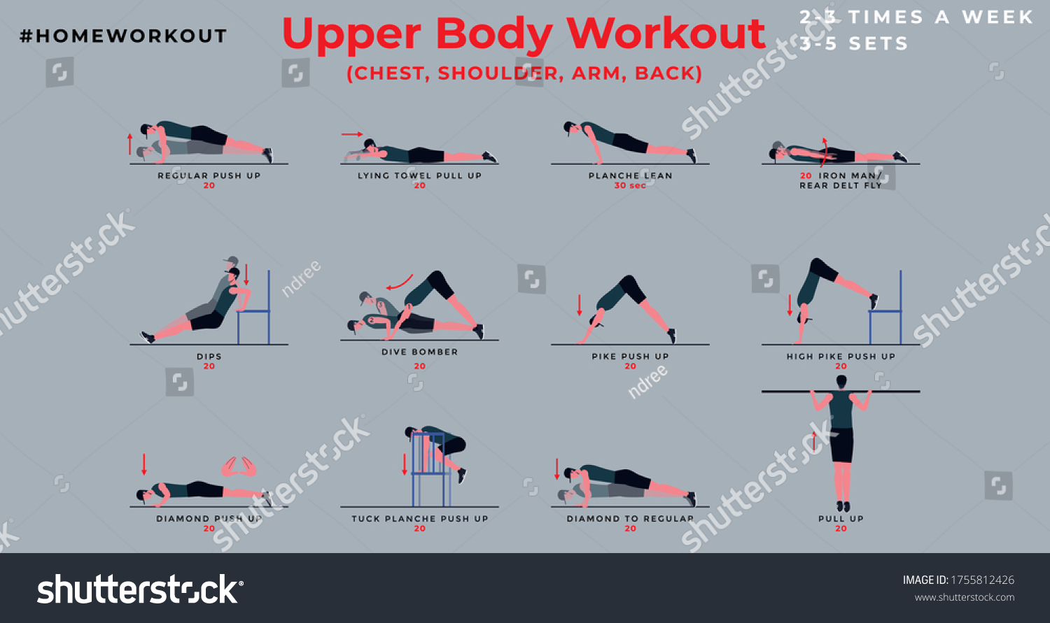 Upper Body Home Workout Vector Illustration Stock Vector (Royalty Free ...