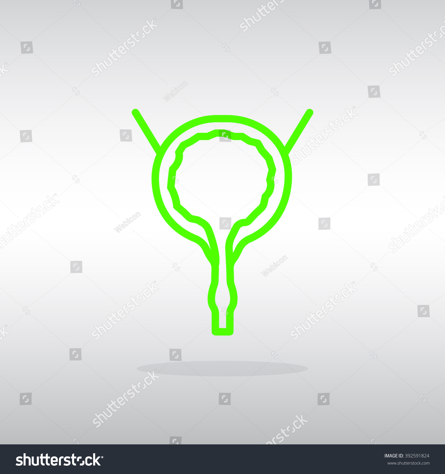 Urinary Bladder Icon Stock Vector (Royalty Free) 392591824