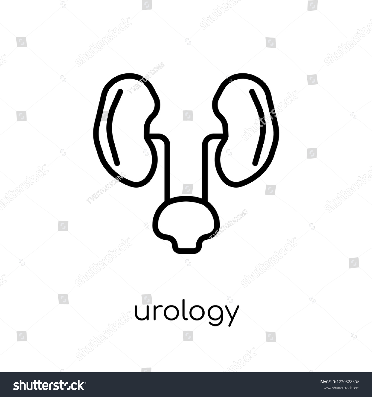 Urology Icon Trendy Modern Flat Linear Stock Vector (Royalty Free ... Urology Icon Trendy Modern Flat Linear Stock Vector (Royalty Free ...