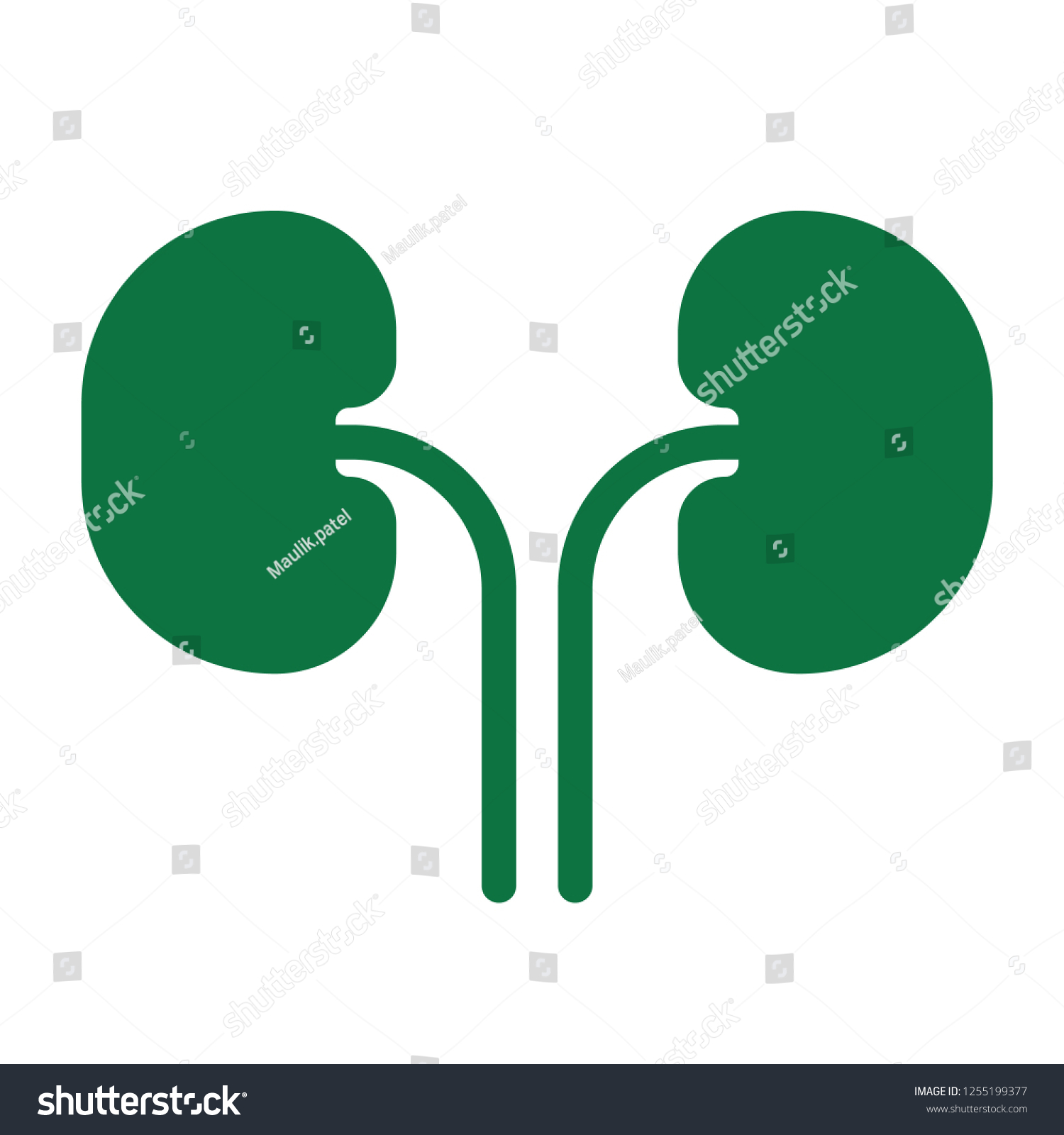 Urology Surgery Vector Icon Stock Vector (Royalty Free) 1255199377 ...