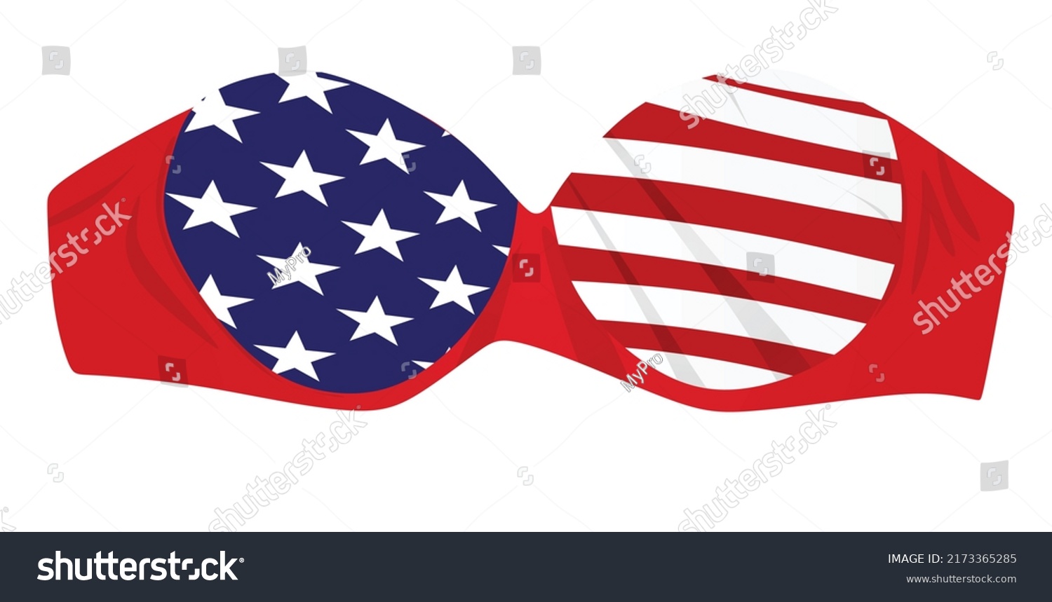 Usa Flag Top Bra Vector Stock Vector (Royalty Free) 2173365285 ...