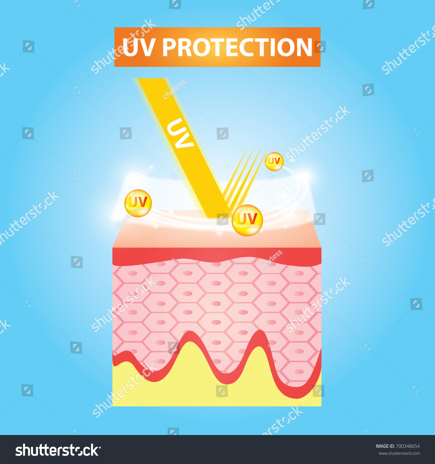 Uv Protection Skin Vector Stock Vector (Royalty Free) 700348654 ...