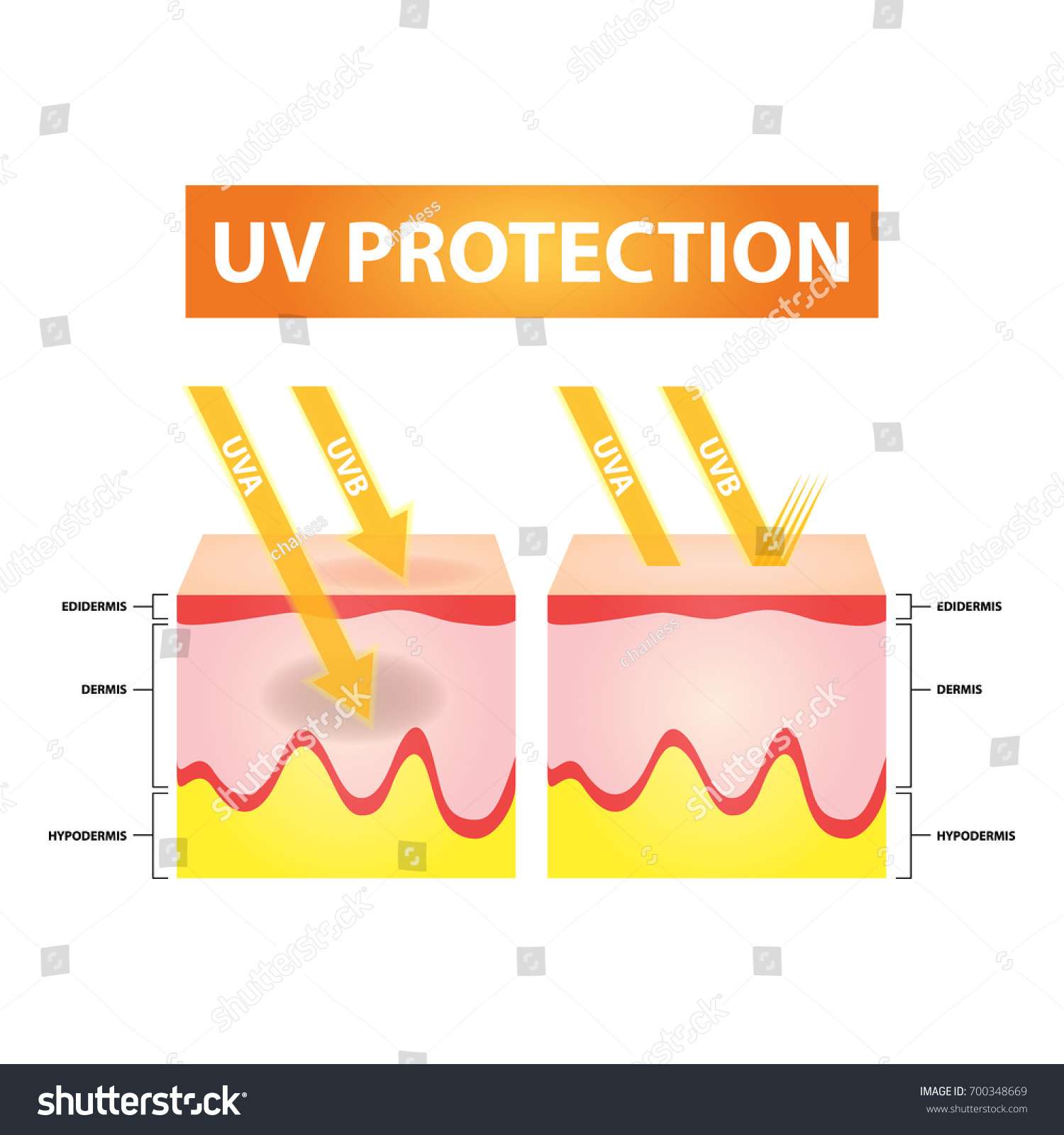 Uv Protection Skin Vector Stock Vector (Royalty Free) 700348669 ...