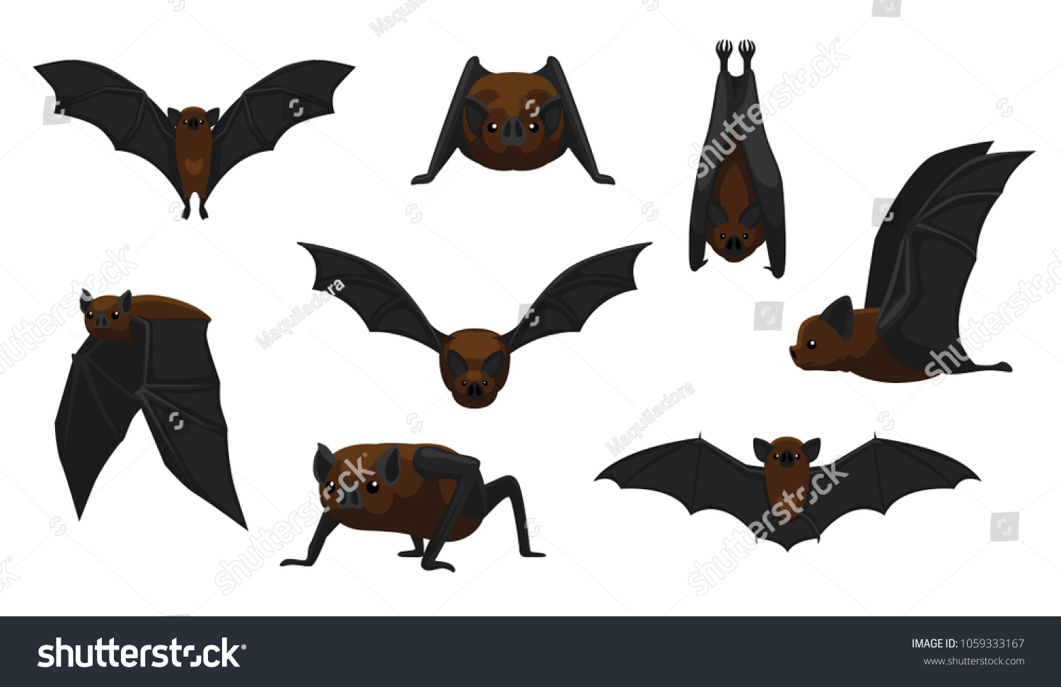 1,789 Bat side Images, Stock Photos & Vectors | Shutterstock