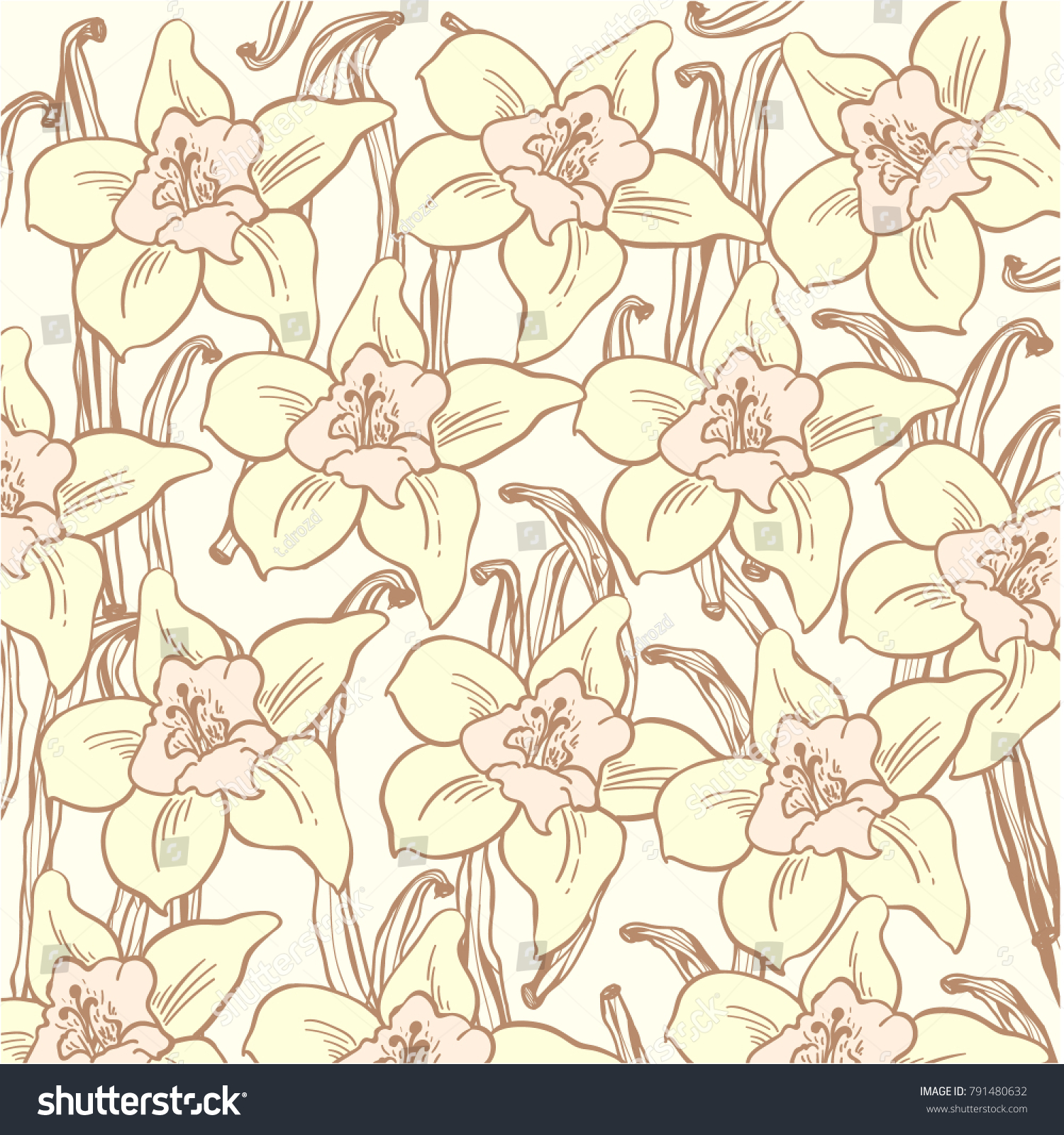 Vanilla Flower Pattern Hand Draw Illustration Stock Vector (Royalty ...