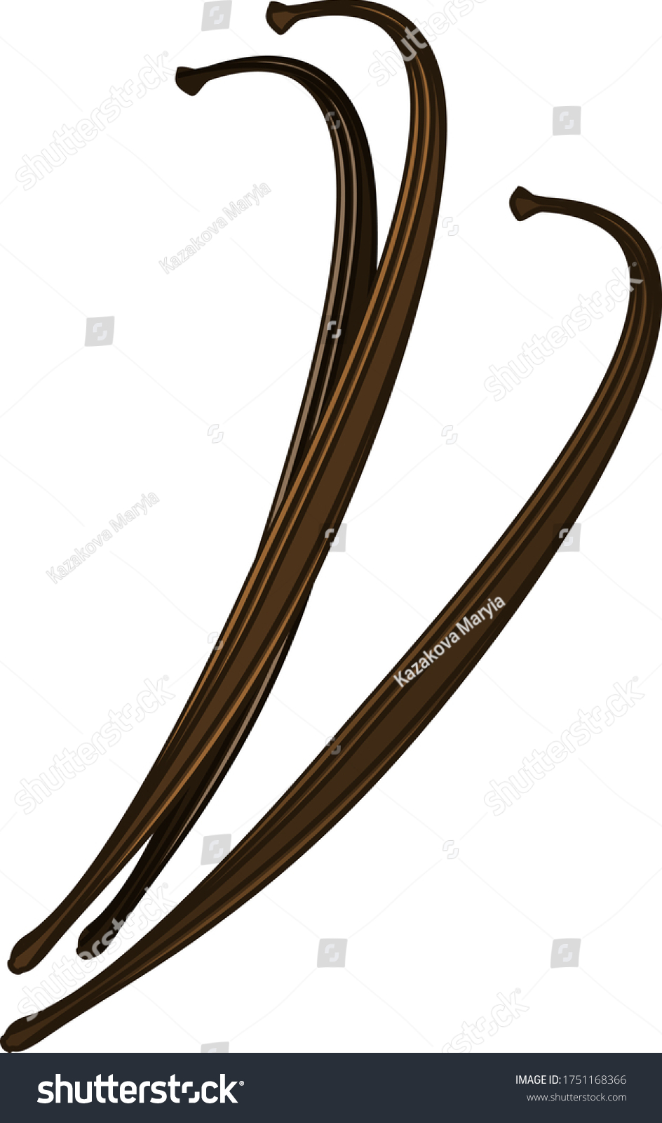 Vanilla Pods Isolated On White Background Stock Vector (Royalty Free ...