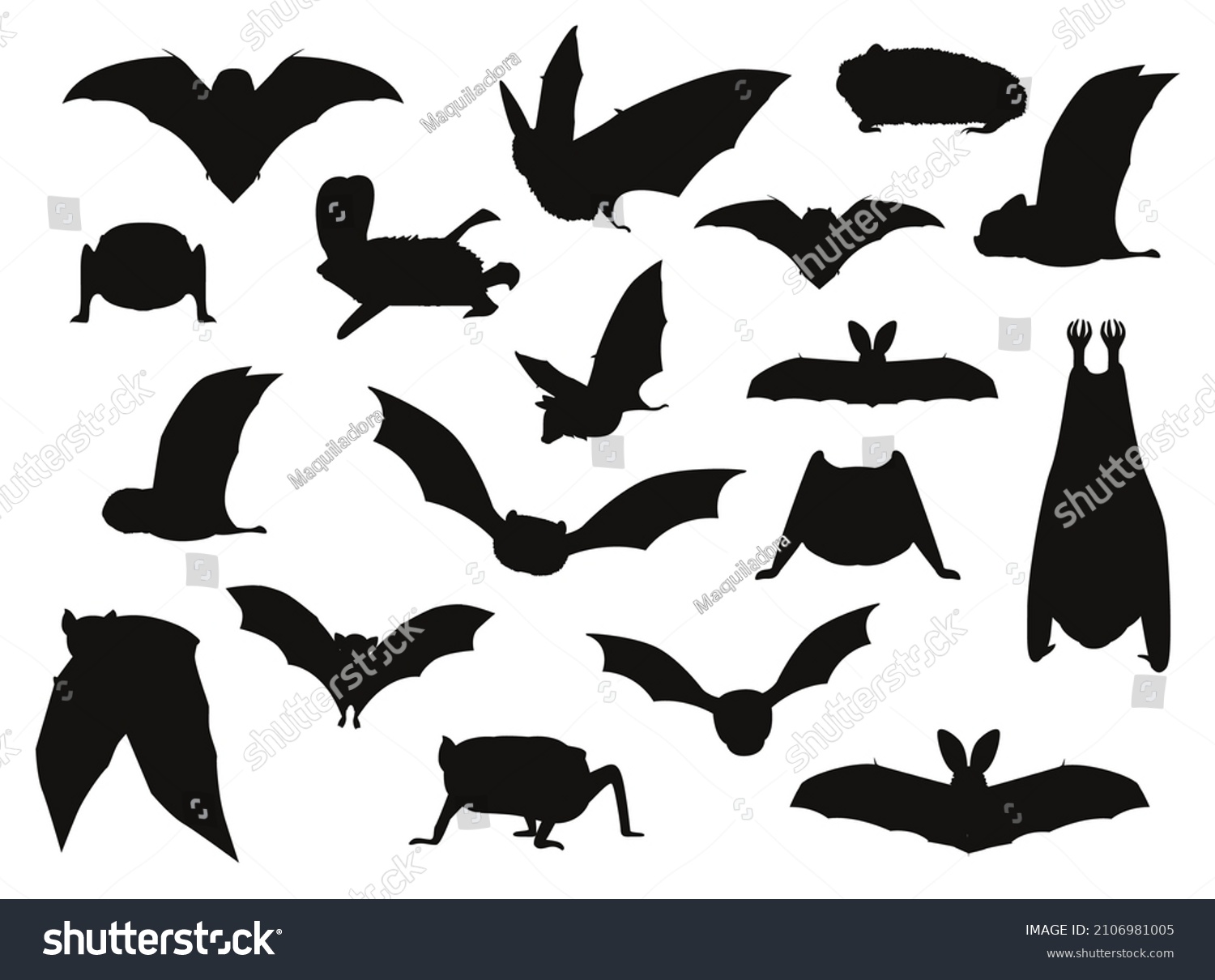 Various Bat Silhouettes Vector Illustration Stock Vector (Royalty Free ...