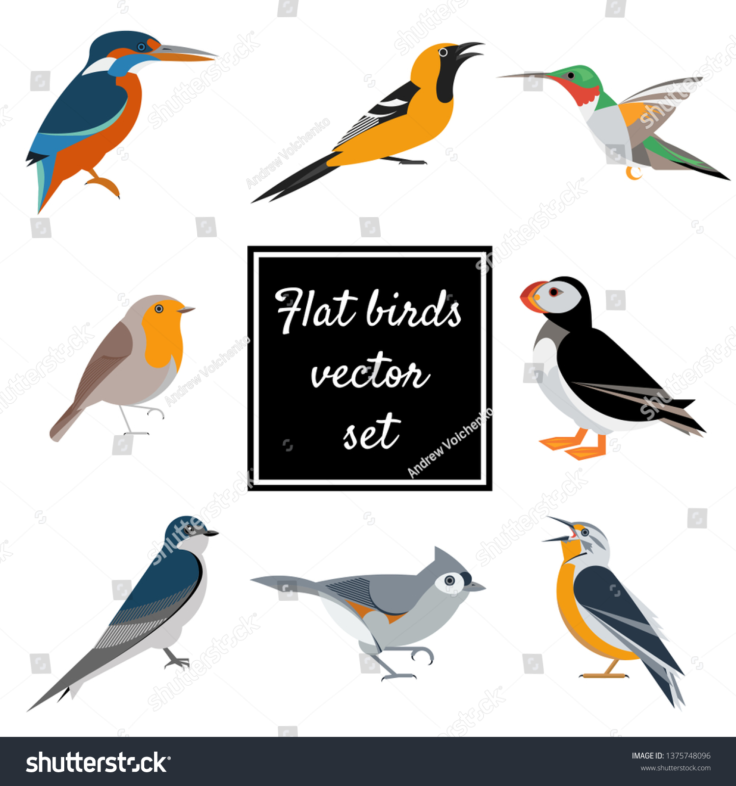 Various Birds Flat Design Vector Illustrations: เวกเตอร์สต็อก (ปลอดค่า ...