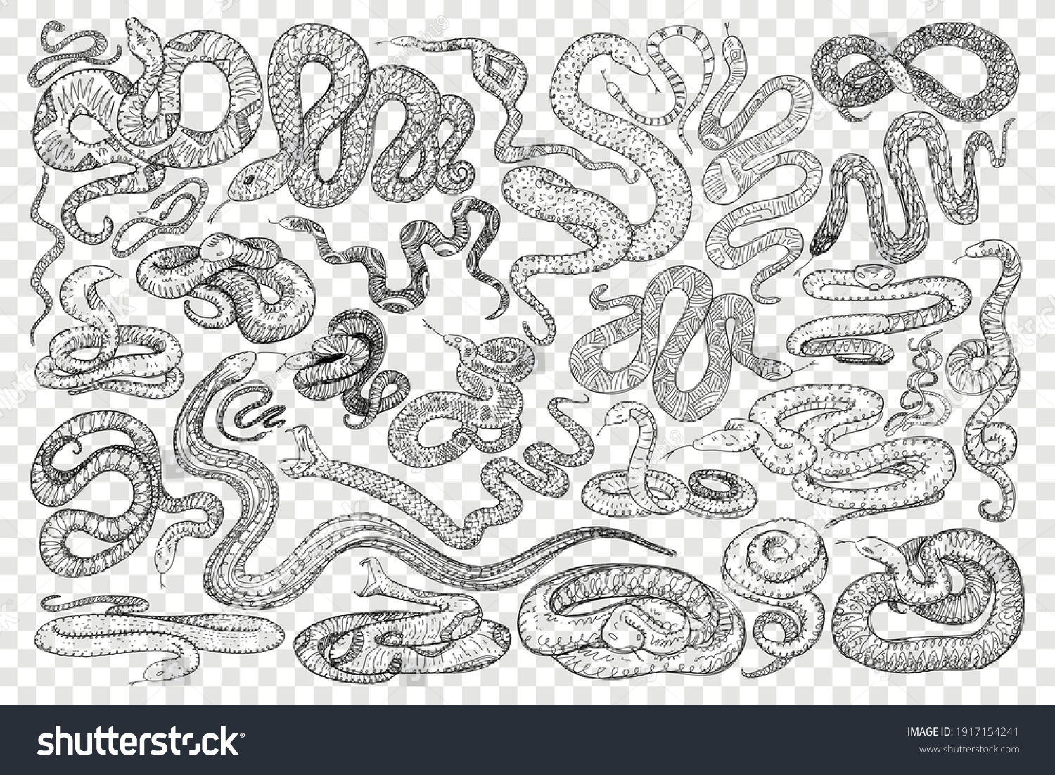 Various Dangerous Snakes Doodle Set Stock Vector (Royalty Free ...