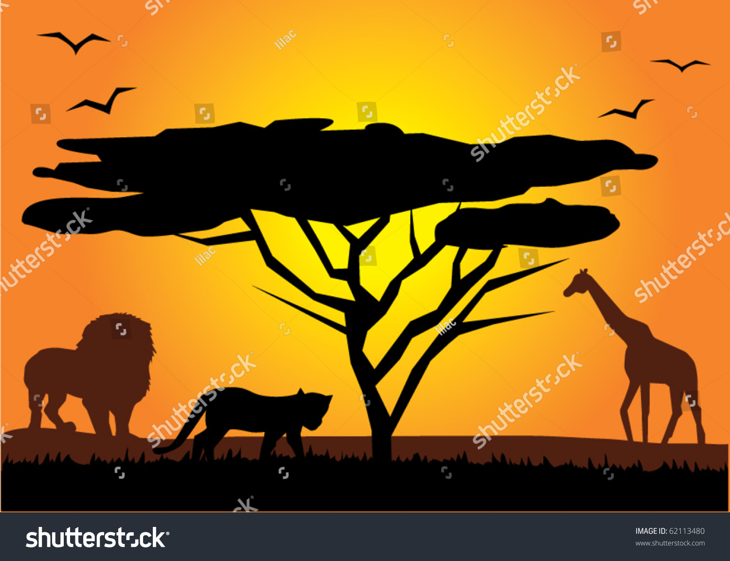 Vector African Landscape Stock Vector (Royalty Free) 62113480 ...
