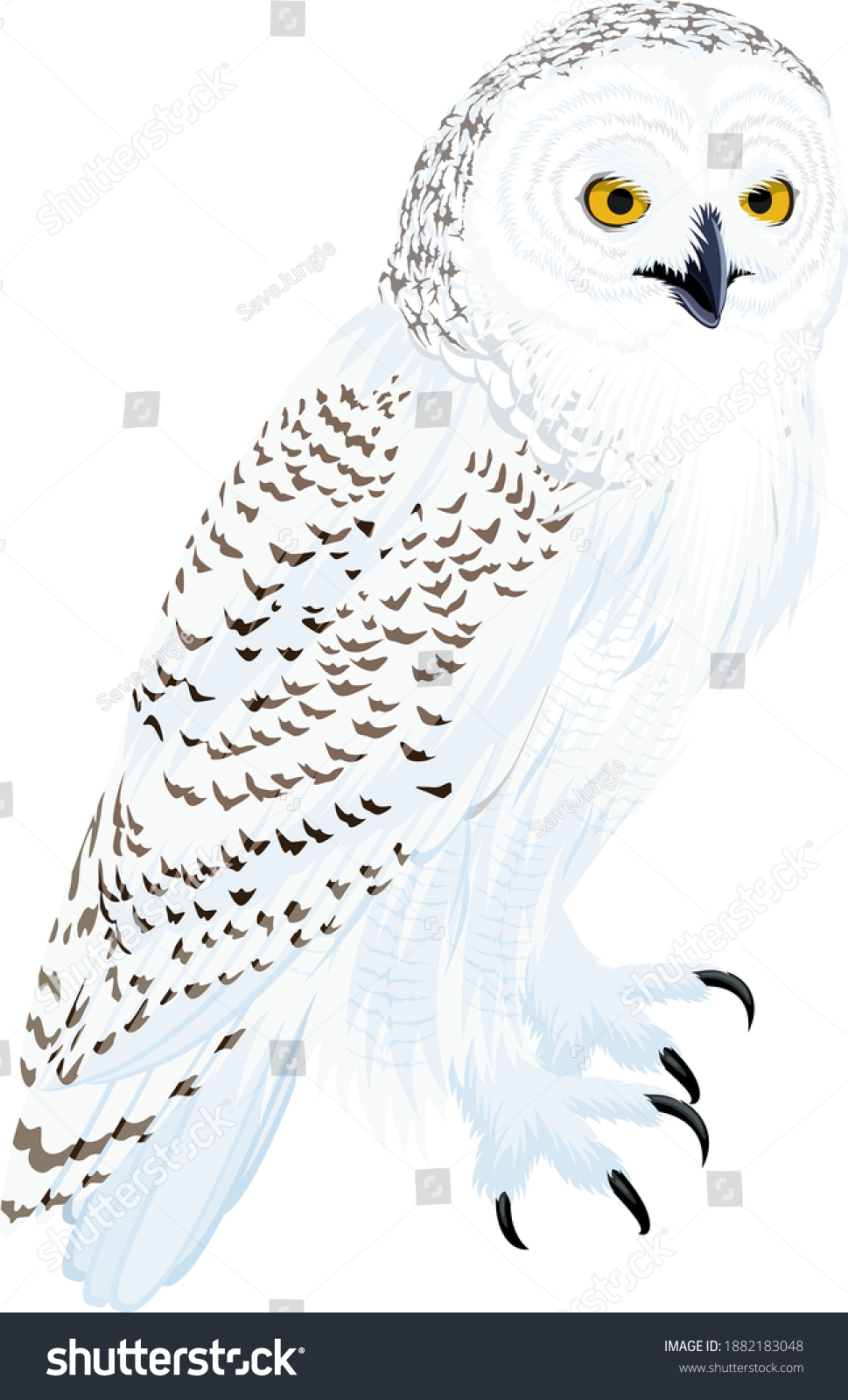 Vector Arctic Snowy Owl Illustration Stock Vector (Royalty Free ...