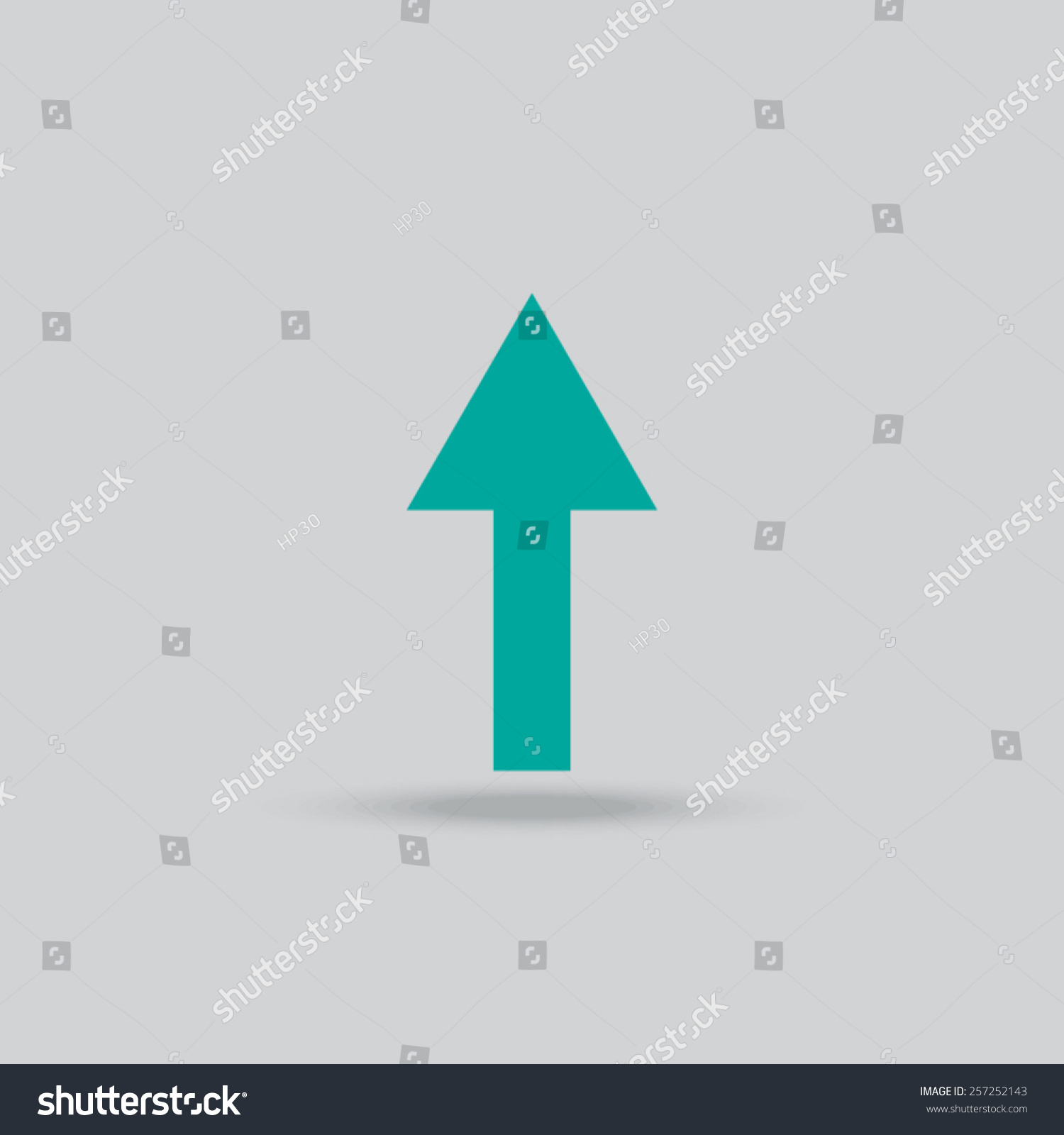 Vector Arrow Icon Stock Vector (Royalty Free) 257252143