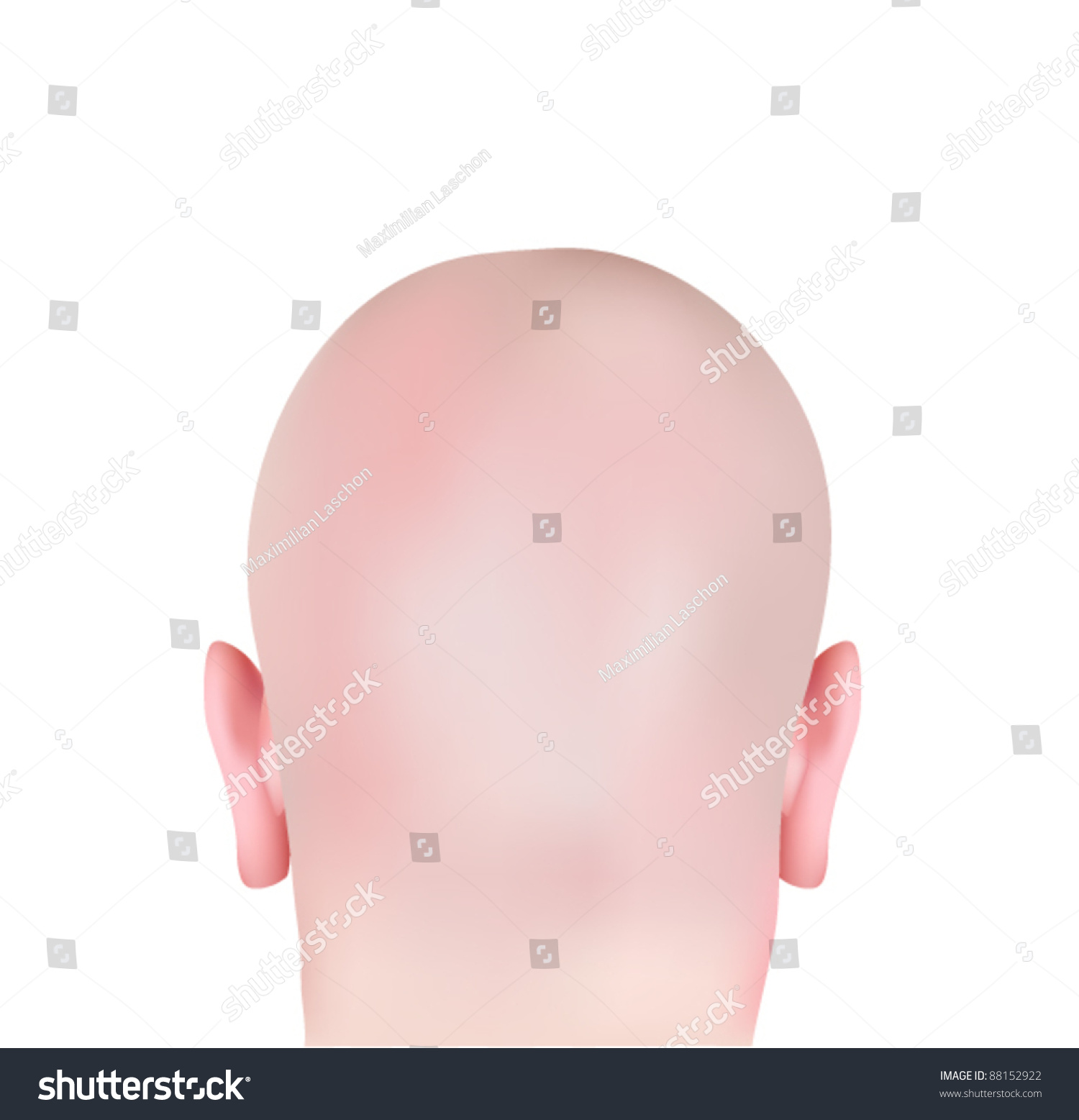 Vector Bald Head Isolated On White Stock Vector (Royalty Free) 88152922