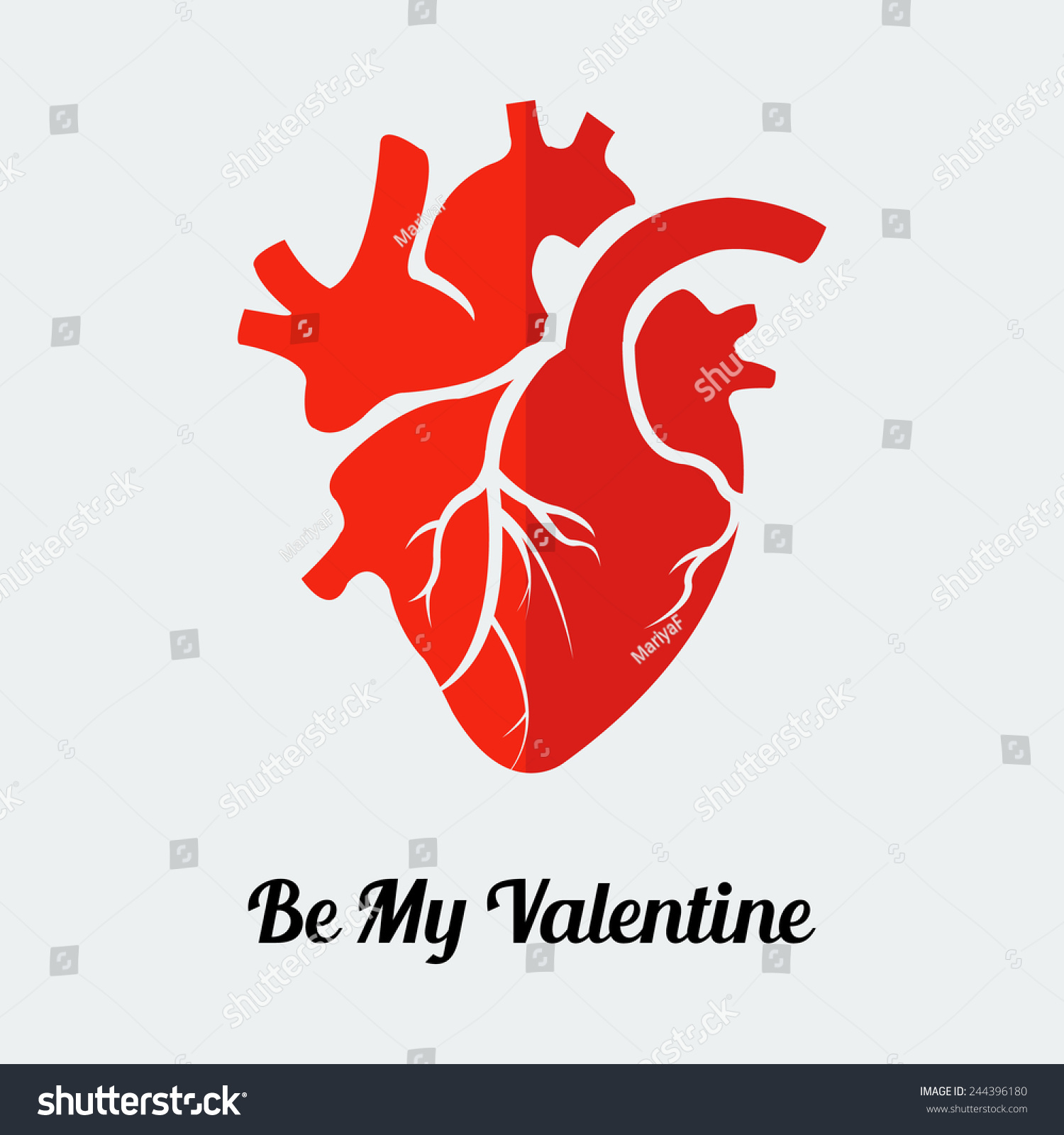 Human Heart Vector