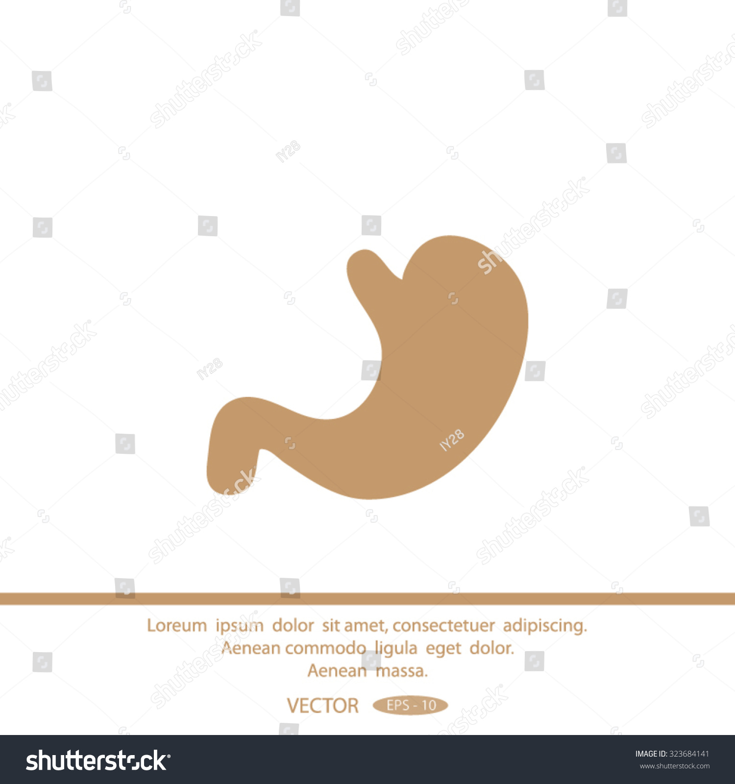 Vector Belly Icon Stock Vector (Royalty Free) 323684141 | Shutterstock