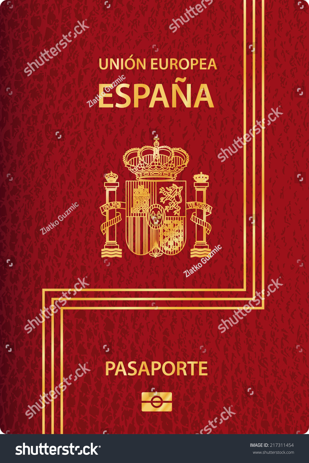 Vector Biometric Spanish Passport Stock Vector 217311454 Shutterstock