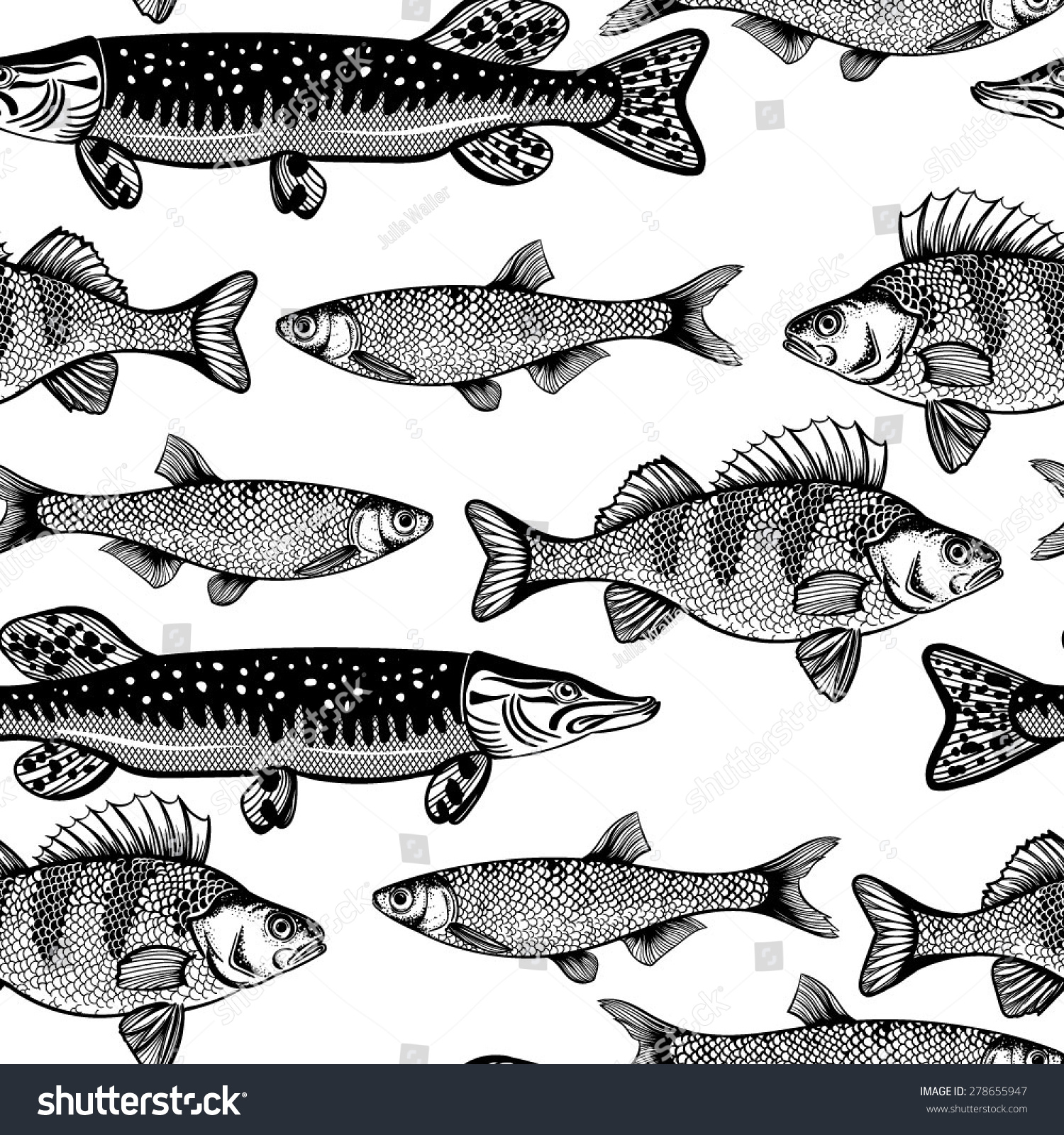 Vector Black White Sea Fish Seamless: เวกเตอร์สต็อก (ปลอดค่าลิขสิทธิ์ ...