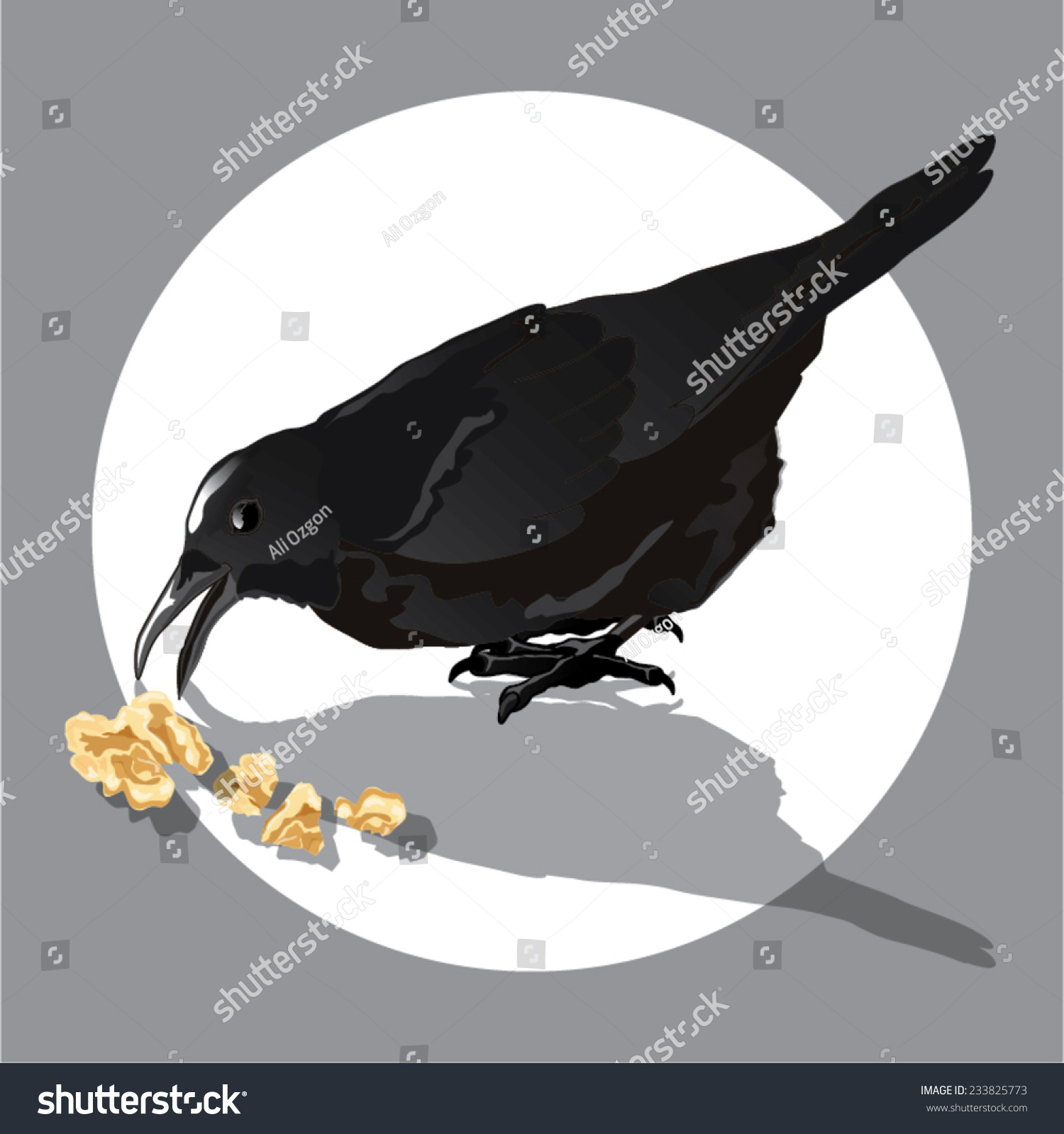 Vector Black Crow Eating Nut Stock Vector (Royalty Free) 233825773