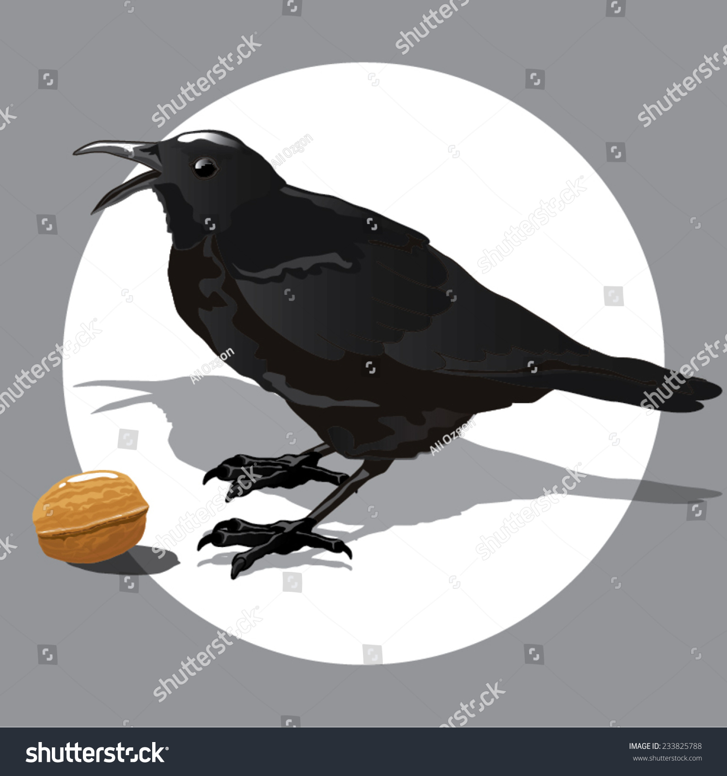 Vector Black Crow Eating Nut: vector de stock (libre de regalías ...