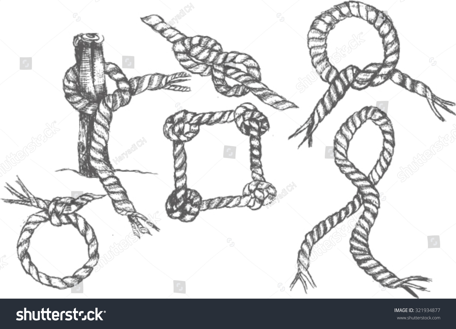 Vector Black Rope Knot Symbols 스톡 벡터(로열티 프리) 321934877 | Shutterstock