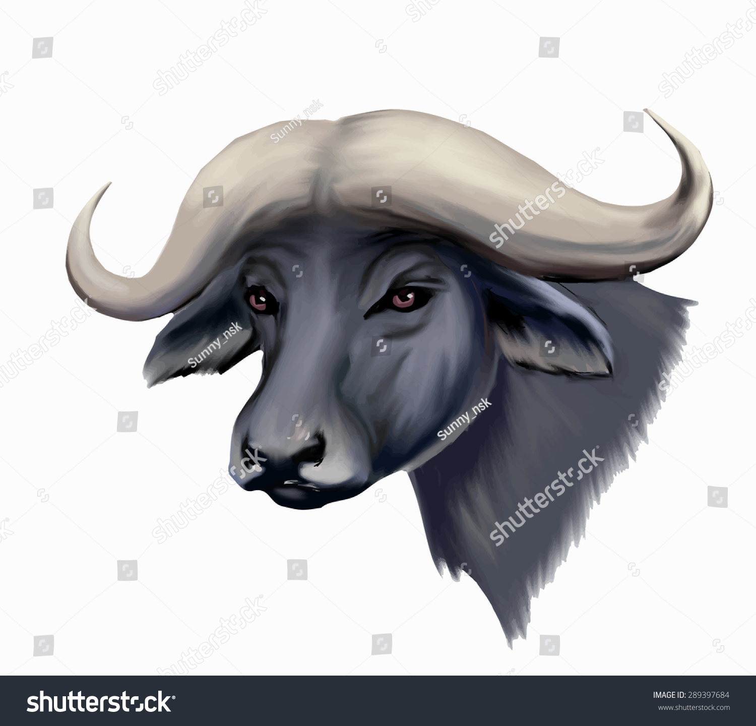 Vector Buffalo Portrait Isolated On White Stock Vector (Royalty Free ...