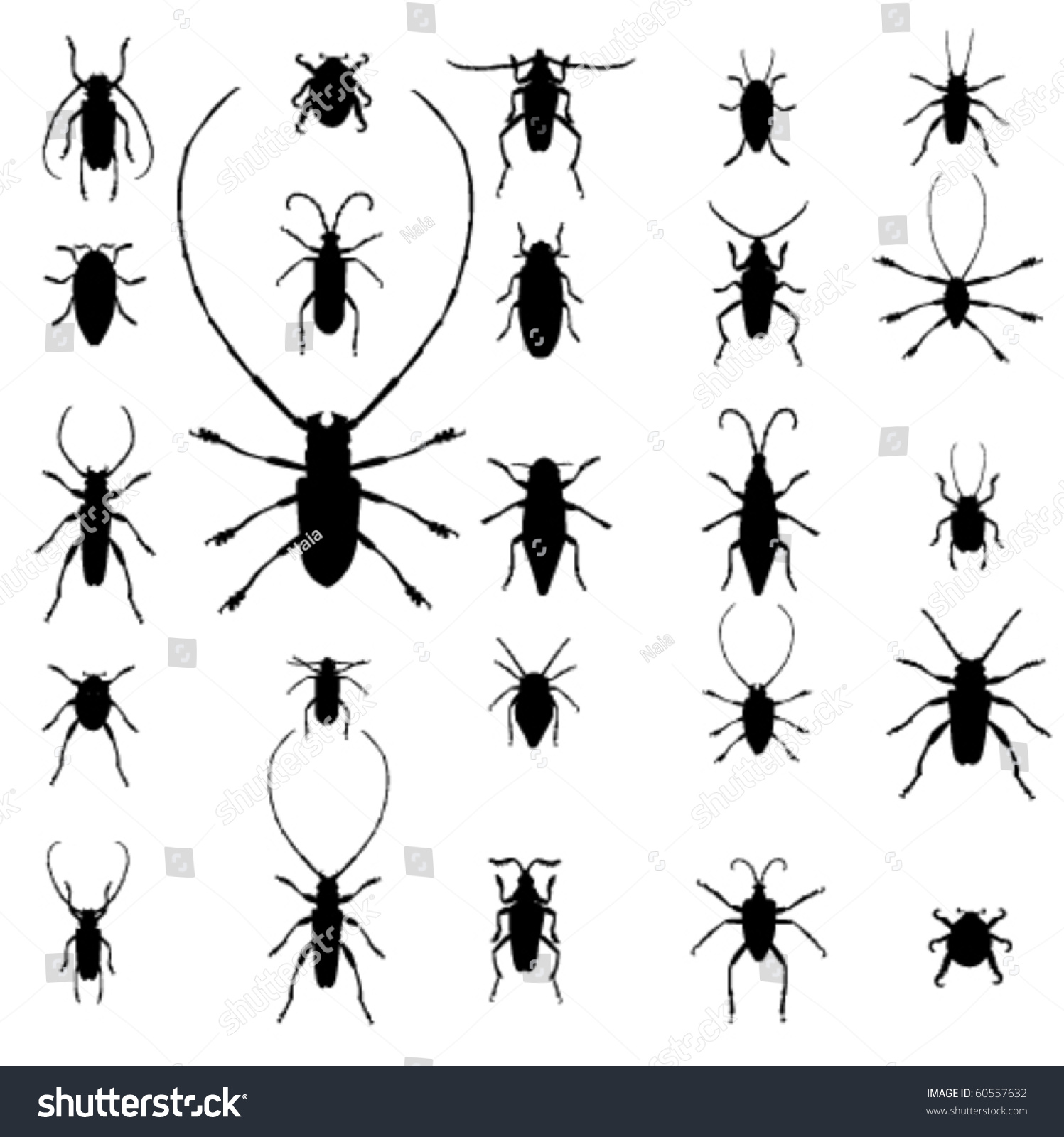 Vector Bug Silhouettes Stock Vector (Royalty Free) 60557632 | Shutterstock