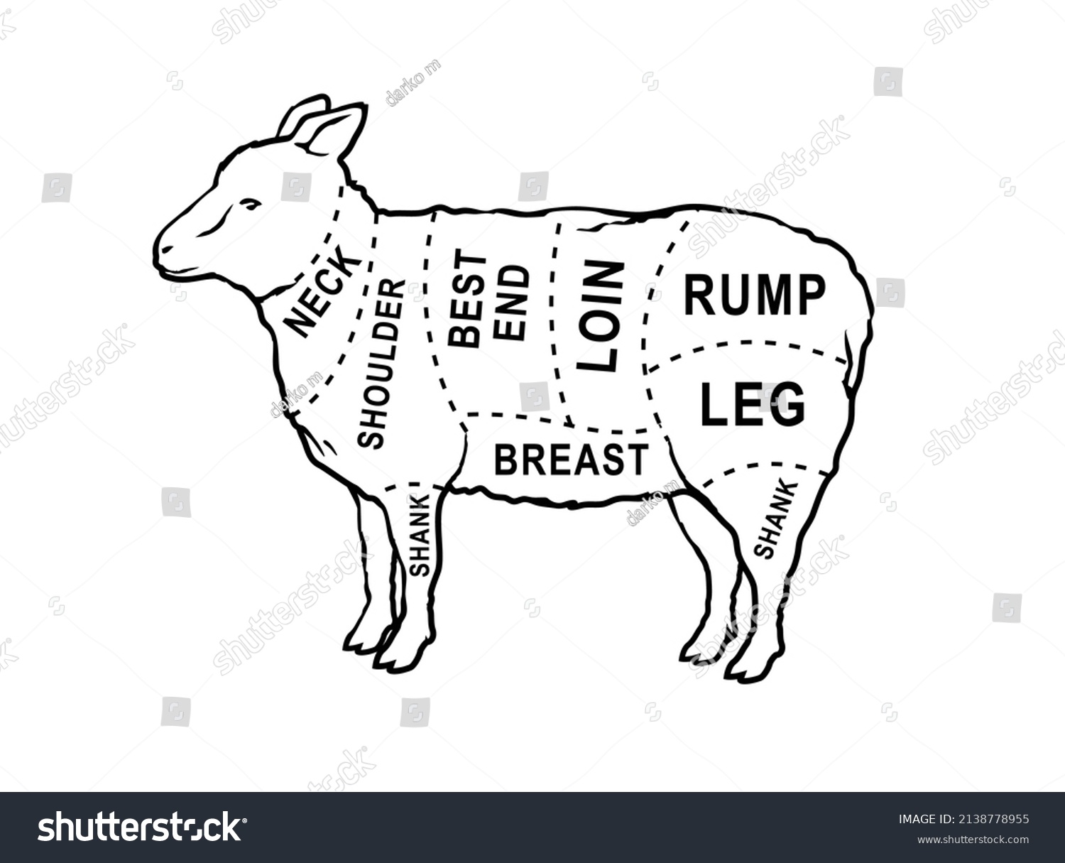 Vector Butcher Diagram Guide Cutting Lamb Stock Vector (Royalty Free ...