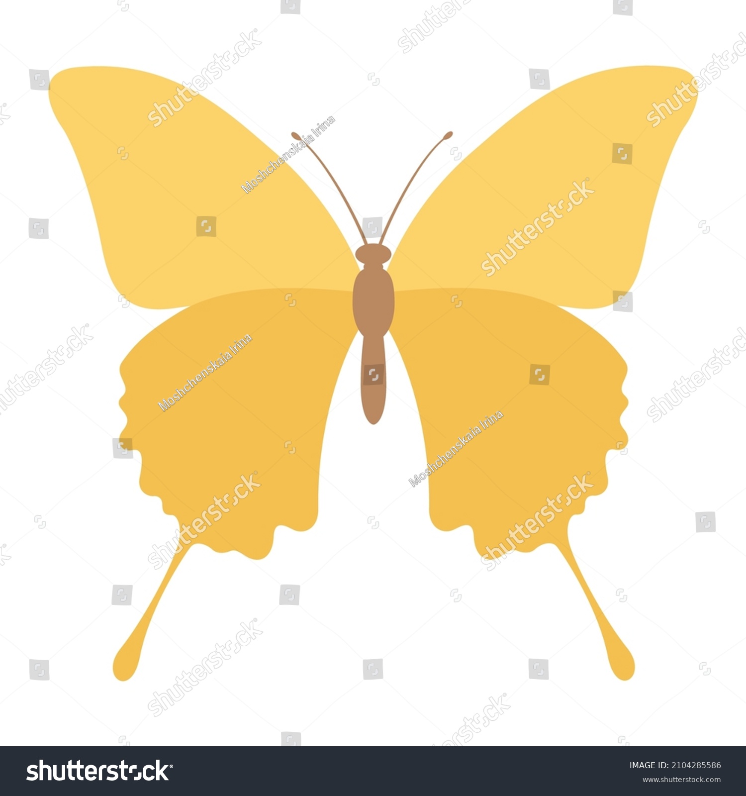 Vector Butterfly Yellow Wings Without Pattern Stock Vector (Royalty ...