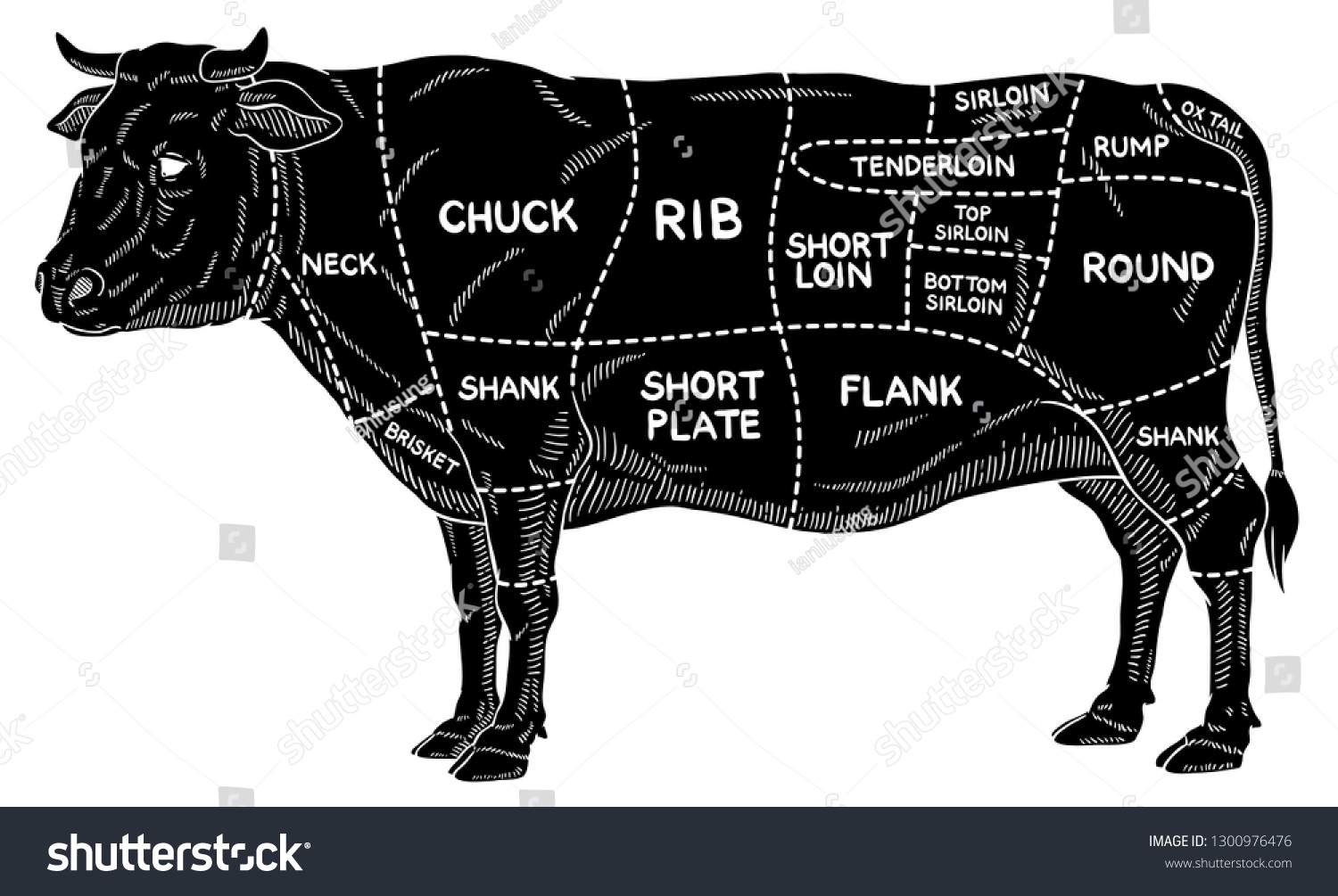 15,408 Bull cuts Images, Stock Photos & Vectors | Shutterstock