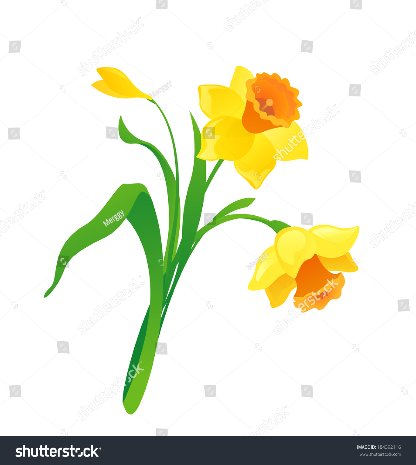 Vector Cartoon Daffodil 库存矢量图（免版税）184392116 | Shutterstock