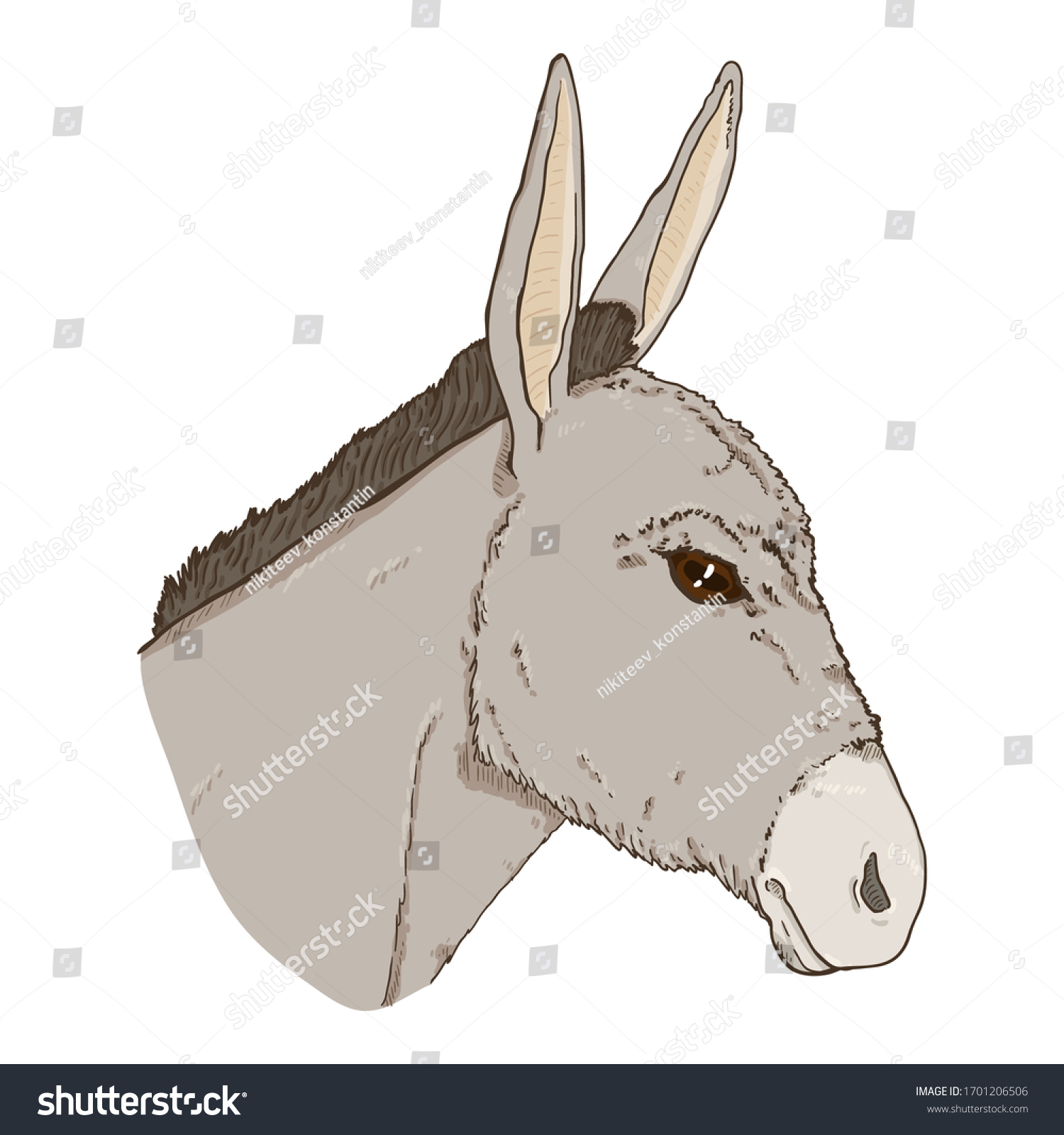 Vector Cartoon Donkey Head Side View Stock Vector (Royalty Free ...