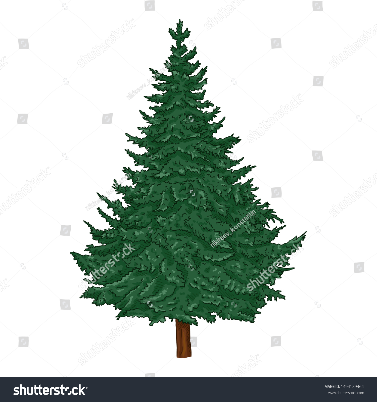 Vector Cartoon Evergreen Pine Tree On Stock Vector (Royalty Free ...
