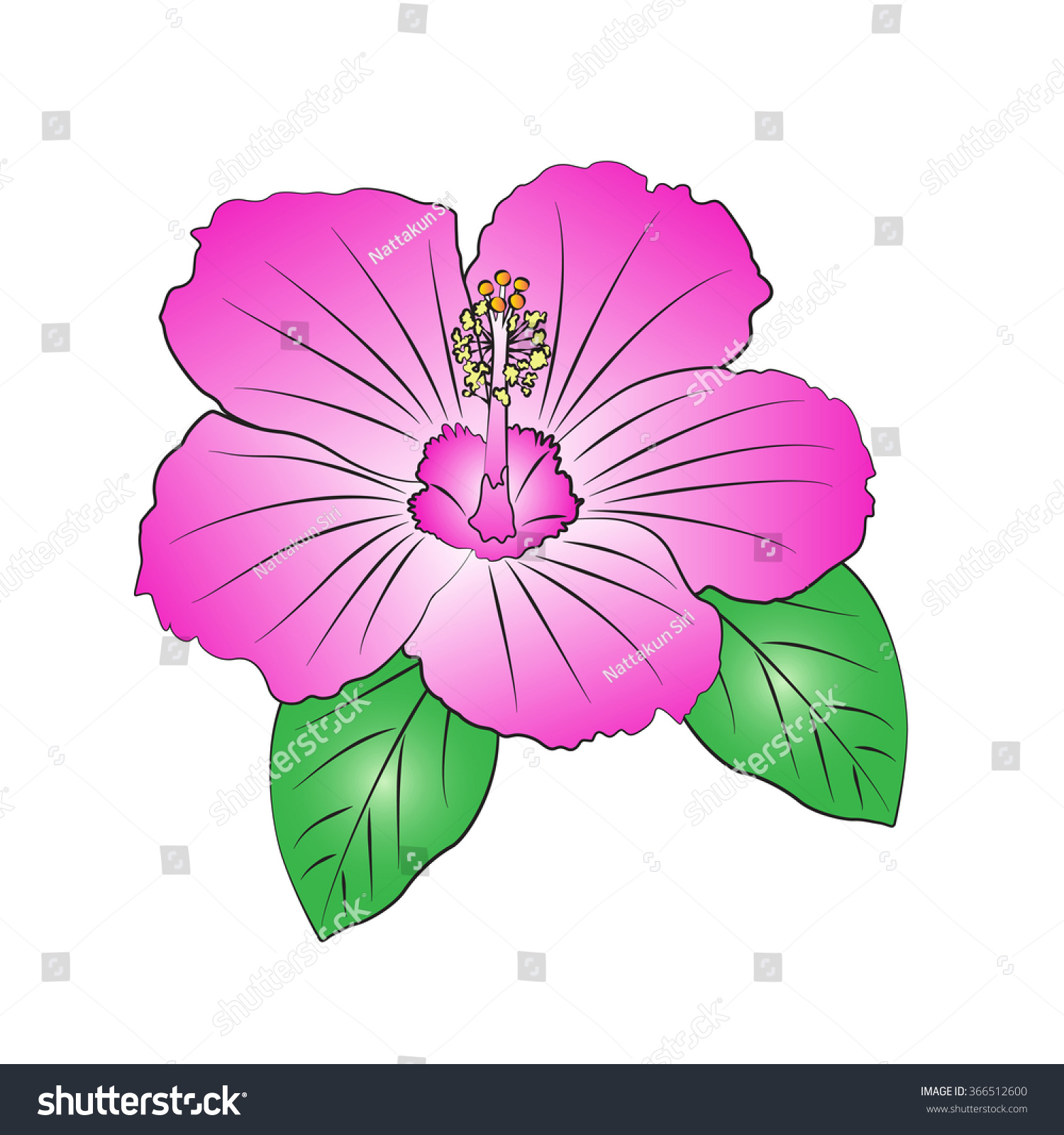 Vector Cartoon Hibiscus On White Background Stock Vector (Royalty Free ...