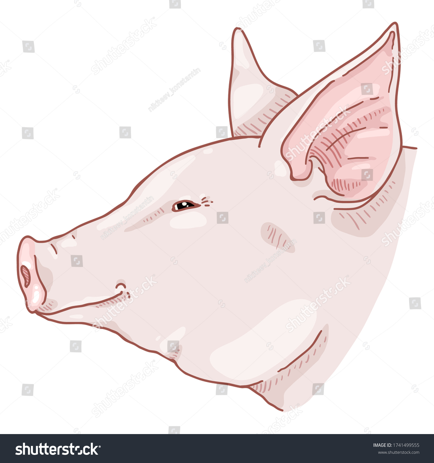 Vector Cartoon Pig Face Side View Stock Vector (Royalty Free ...