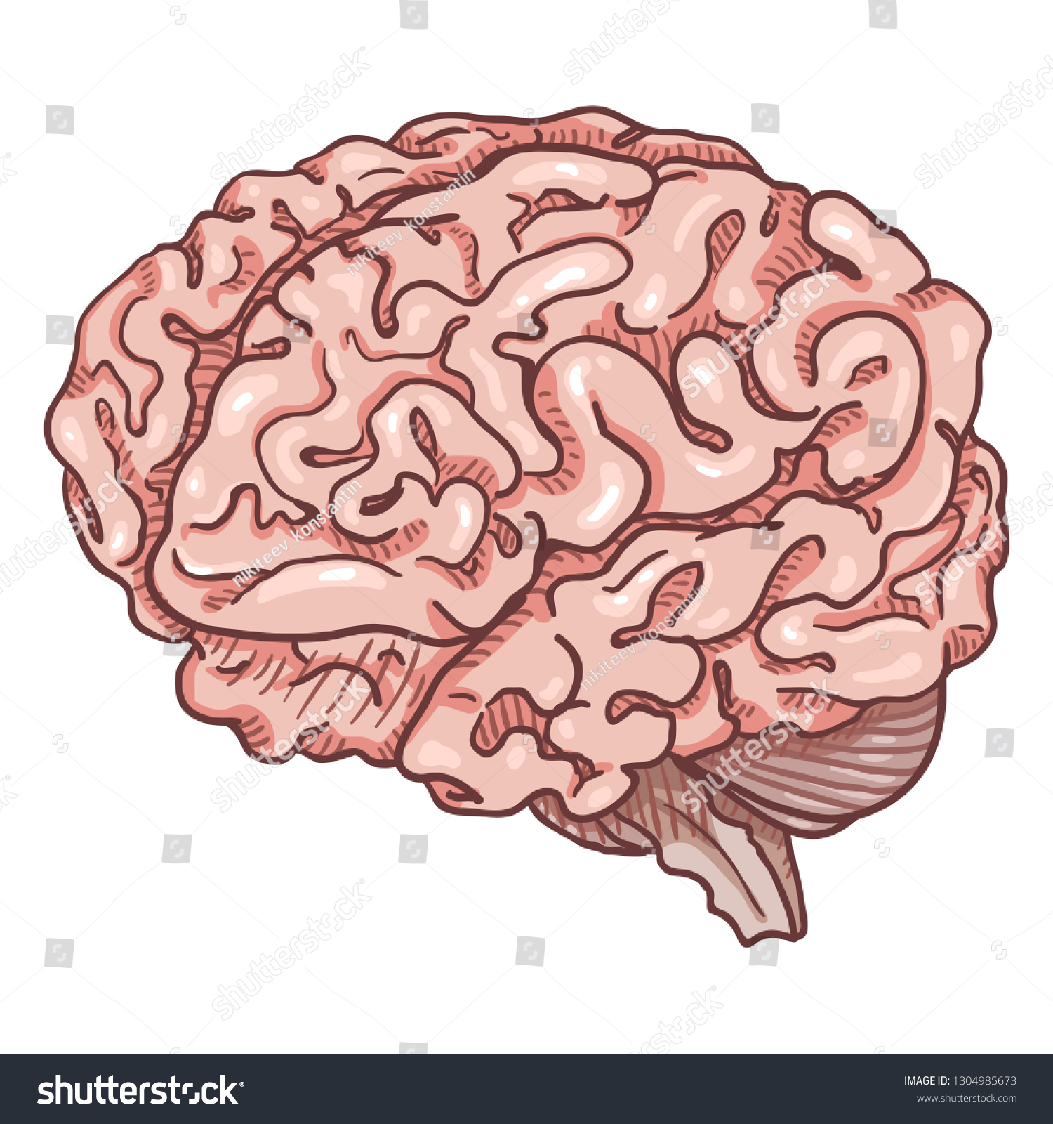 Vector Cartoon Pink Human Brain Stock Vector (Royalty Free) 1304985673 ...