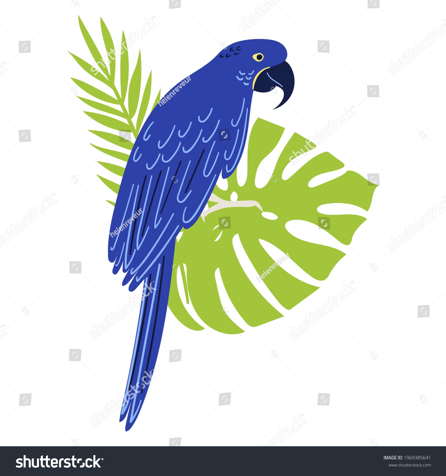 Vector Cartoon Tropical Illustration Hyacinth Macaw Stock Vector ... Vector Cartoon Tropical Illustration Hyacinth Macaw Stock Vector ...