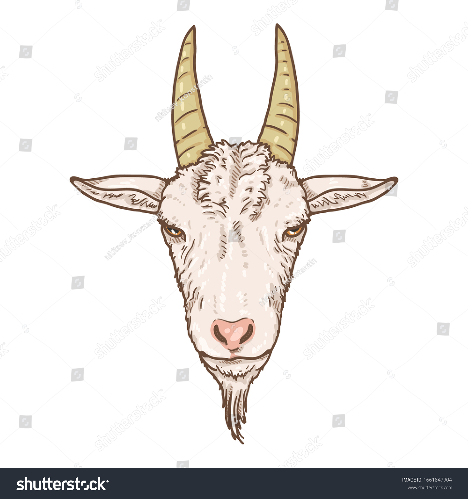 Vector Cartoon White Goat Head Front Stock Vector (Royalty Free ...