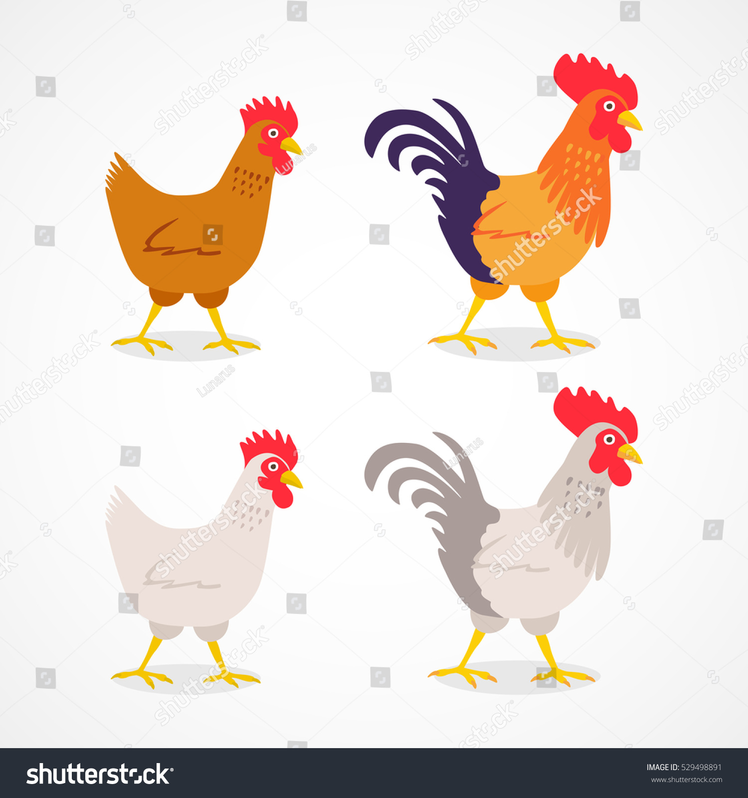 Vector Chicken Cork Rooster Isolated Set Stock Vector (Royalty Free ...