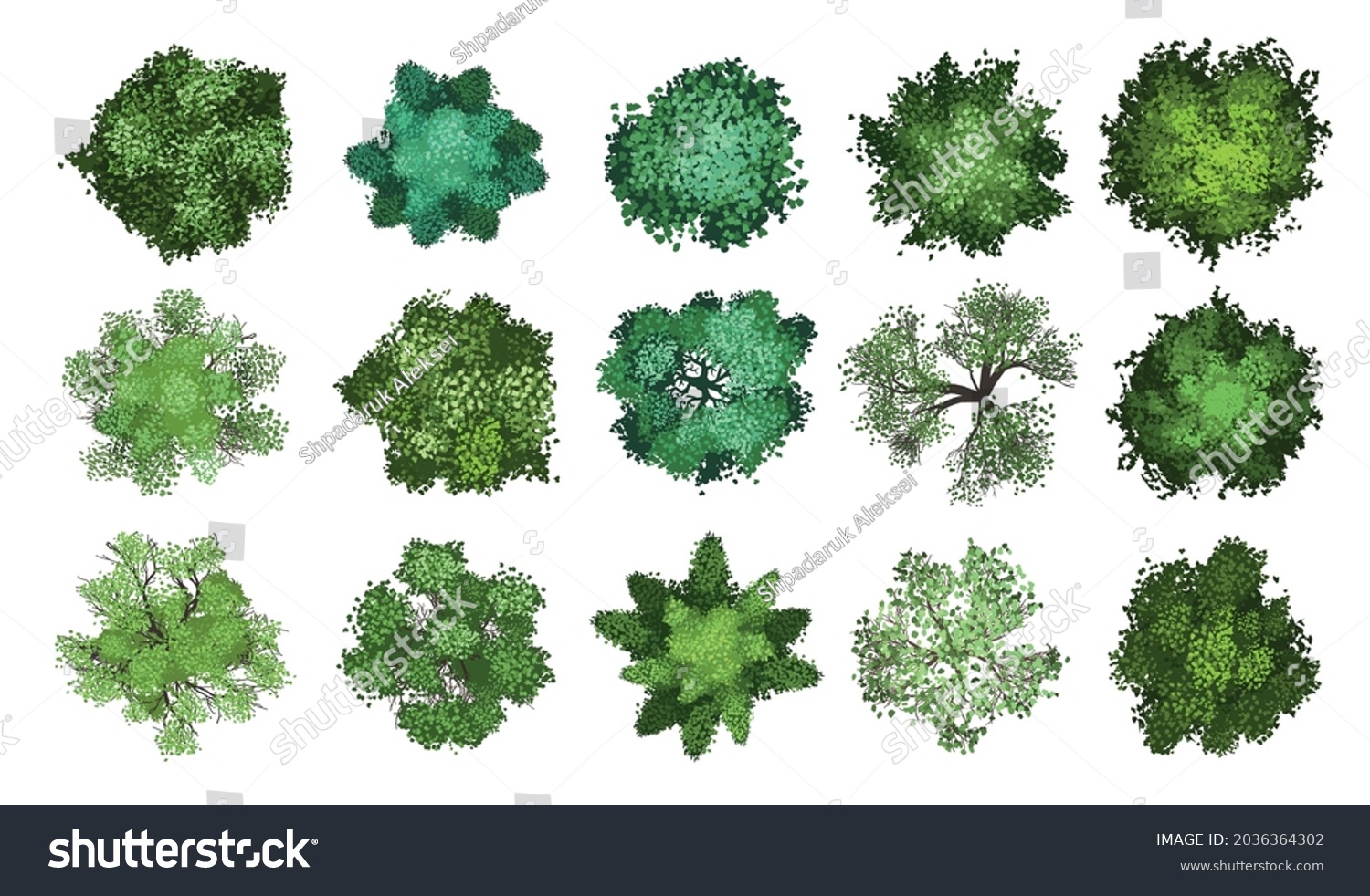 Vector Collection Realistic Trees Top View Stock Vector (Royalty Free ...