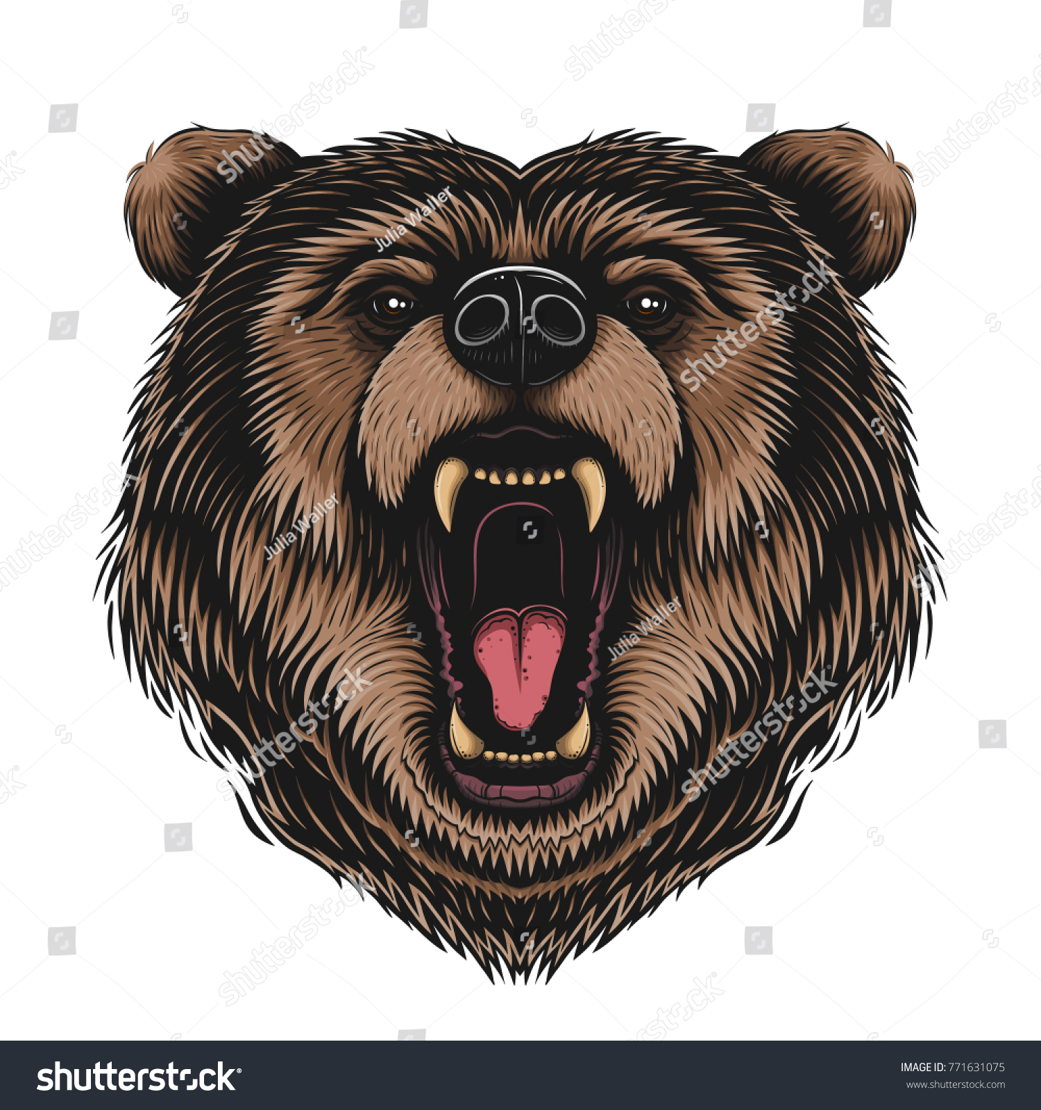 Vector Color Bear Head Illustration Stock Vector (Royalty Free) 771631075