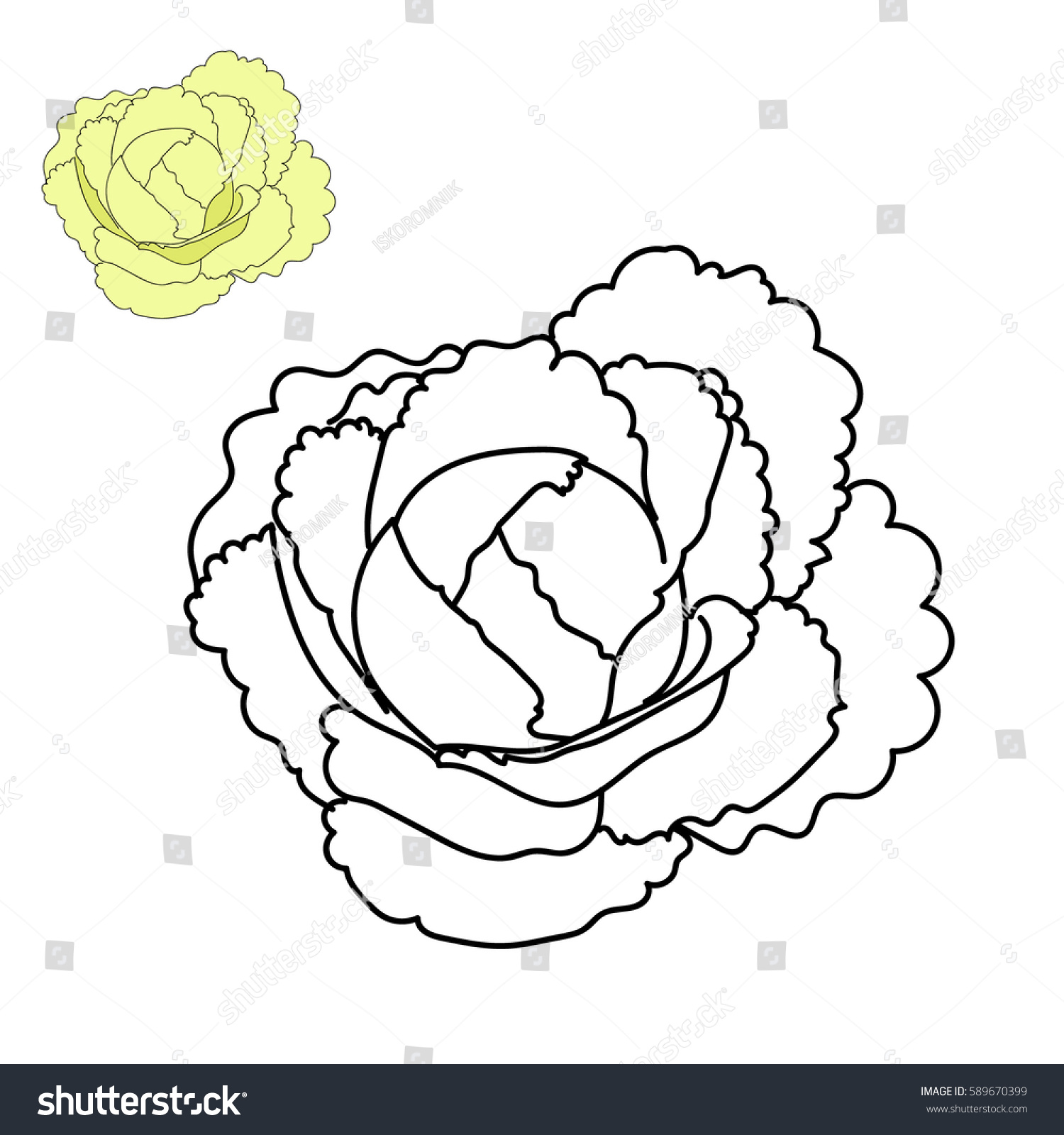 Vector Coloring Page Children Cabbage: vector de stock (libre de ...