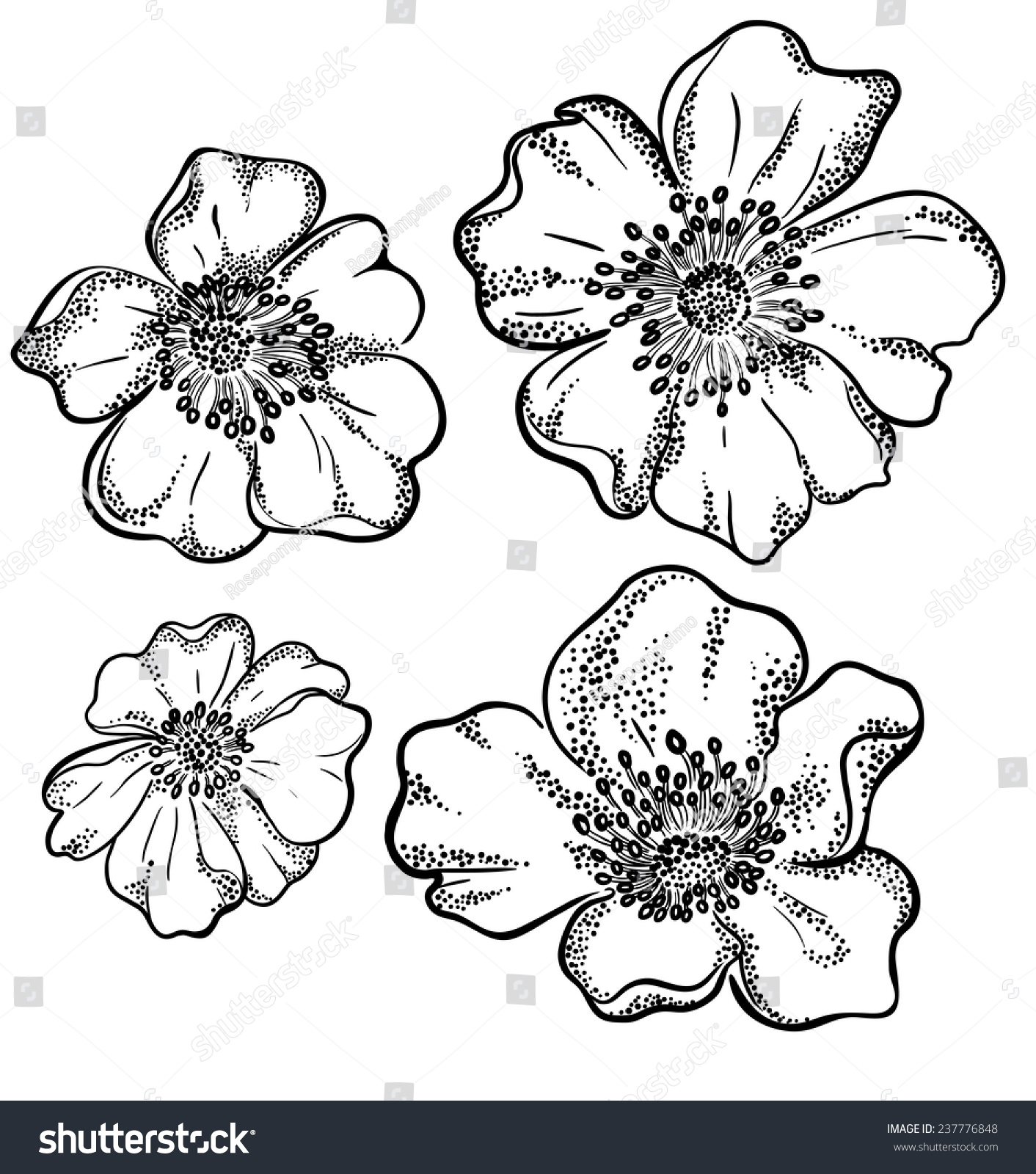 Vector Contour Flowers Illustration Stock Vector (Royalty Free ...