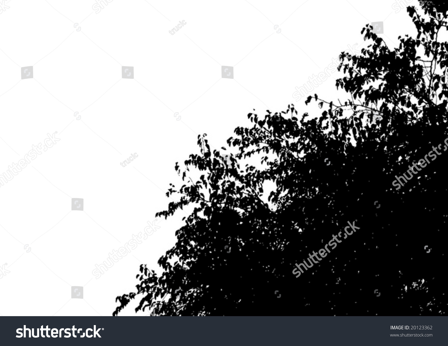 Vector Contours Tree Stock Vector (Royalty Free) 20123362