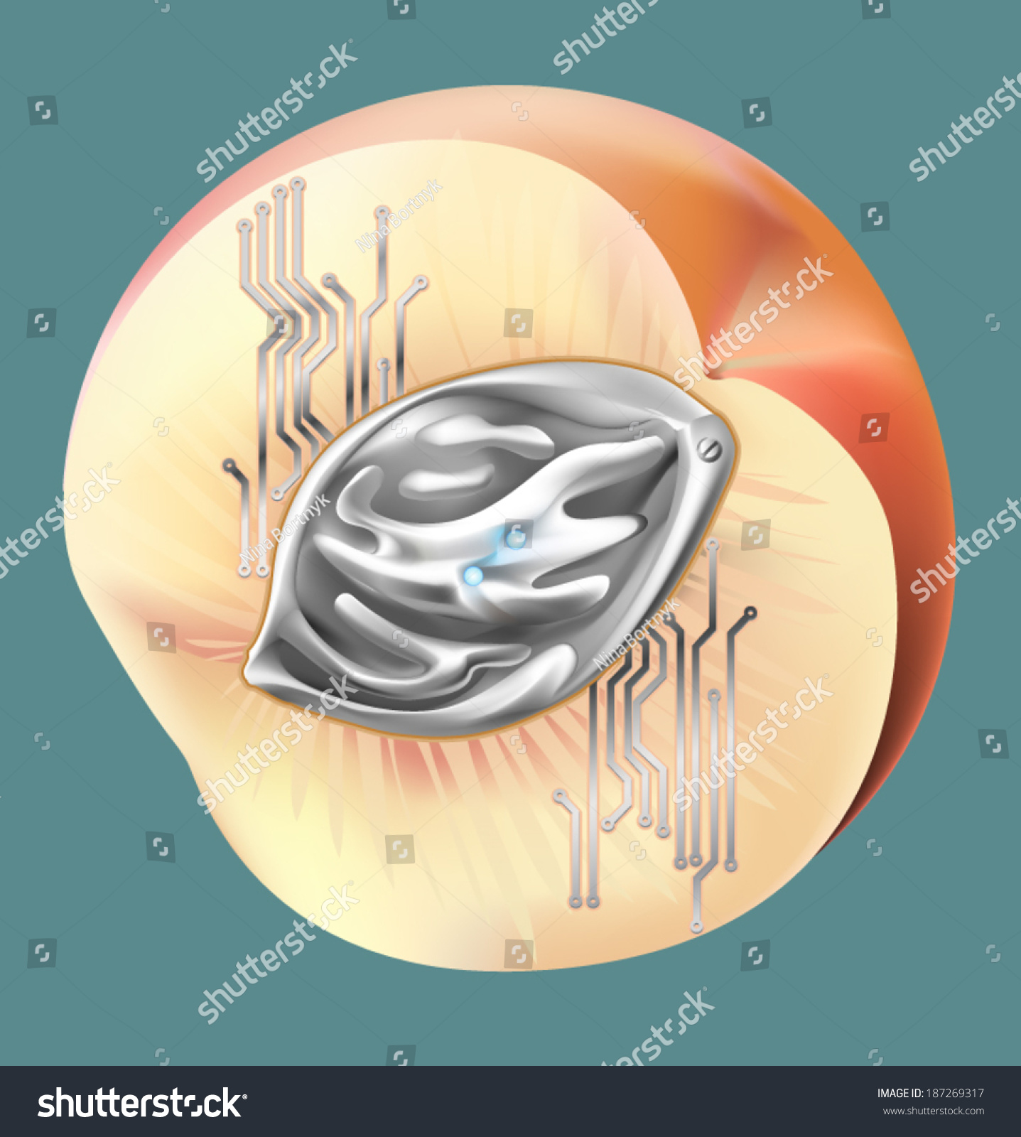 Vector Cyberpunk Peach Cutaway Stock Vector (Royalty Free) 187269317