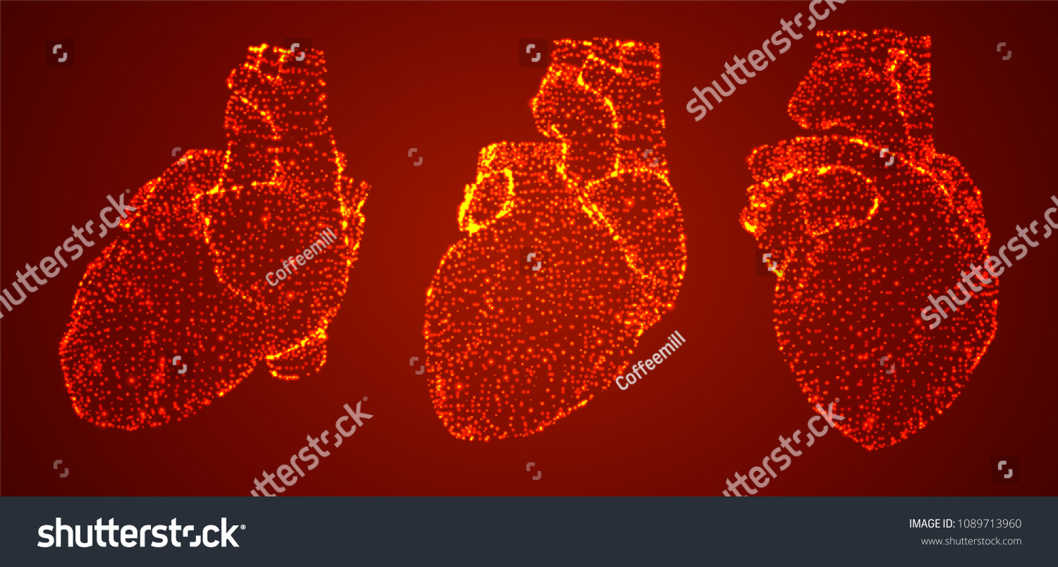 Vector 3d Human Heart Lines Dots Stock Vector (Royalty Free) 1089713960