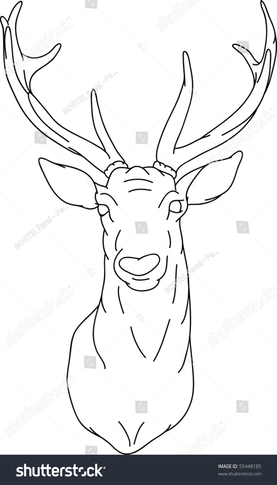 Vector Deer Hand Draw Isolated On Stock Vector (Royalty Free) 55448185 ...