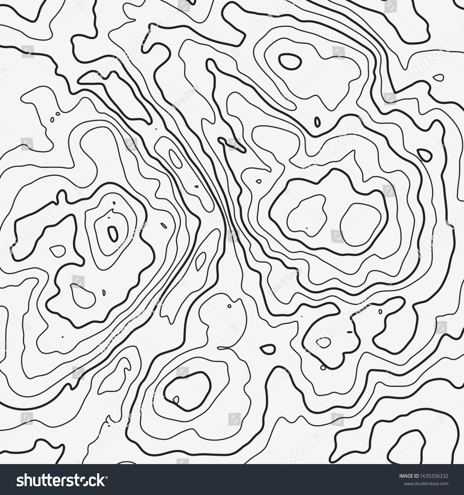 Vector Design Element Topography Map Abstract Stock Vector (Royalty ...