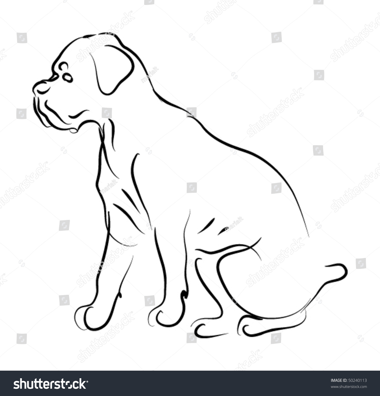 Vector Deutsch Boxer Sketch: เวกเตอร์สต็อก (ปลอดค่าลิขสิทธิ์) 50240113