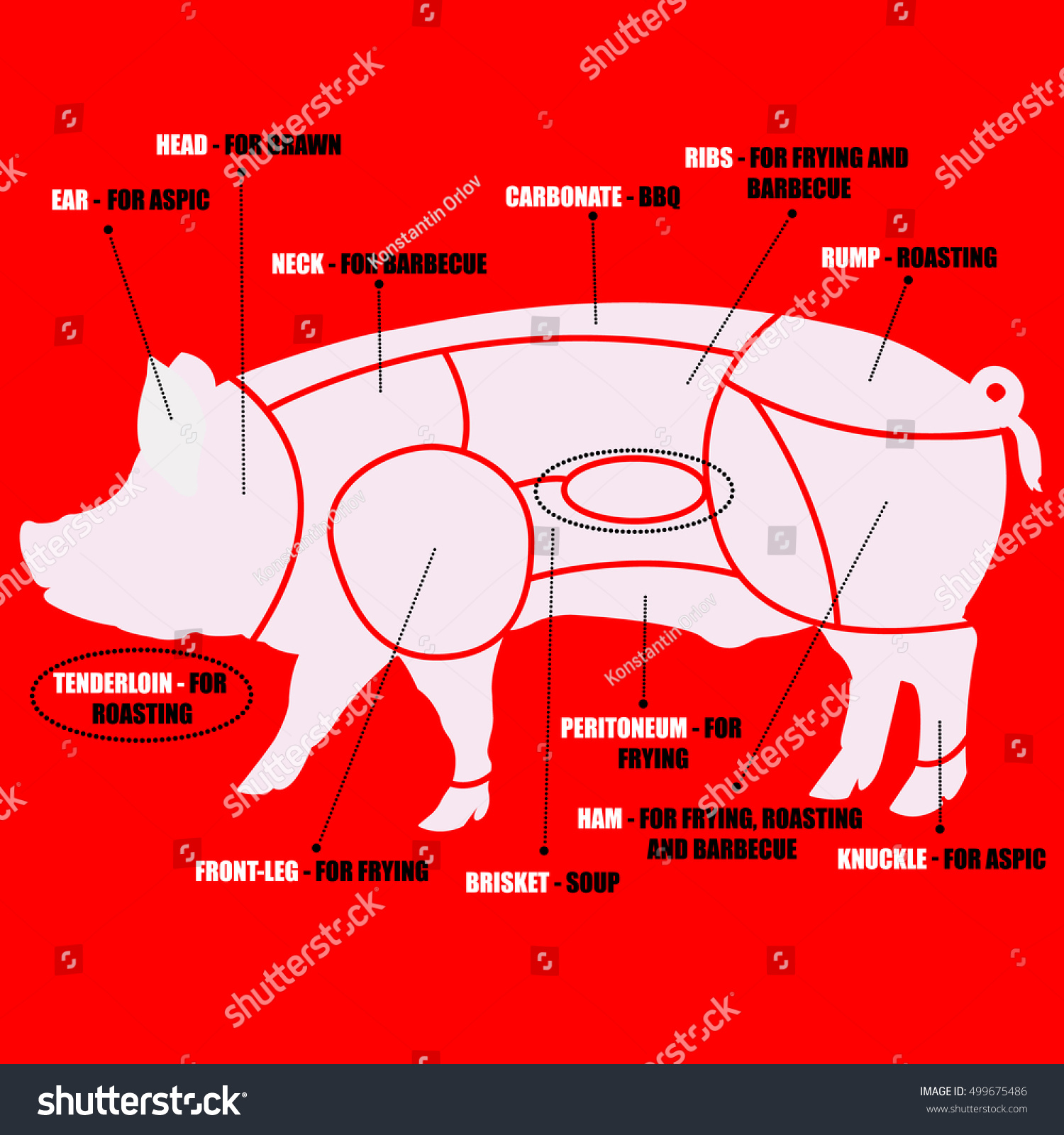 Vector Diagram Cutting Pork Stock Vector (Royalty Free) 499675486 ...