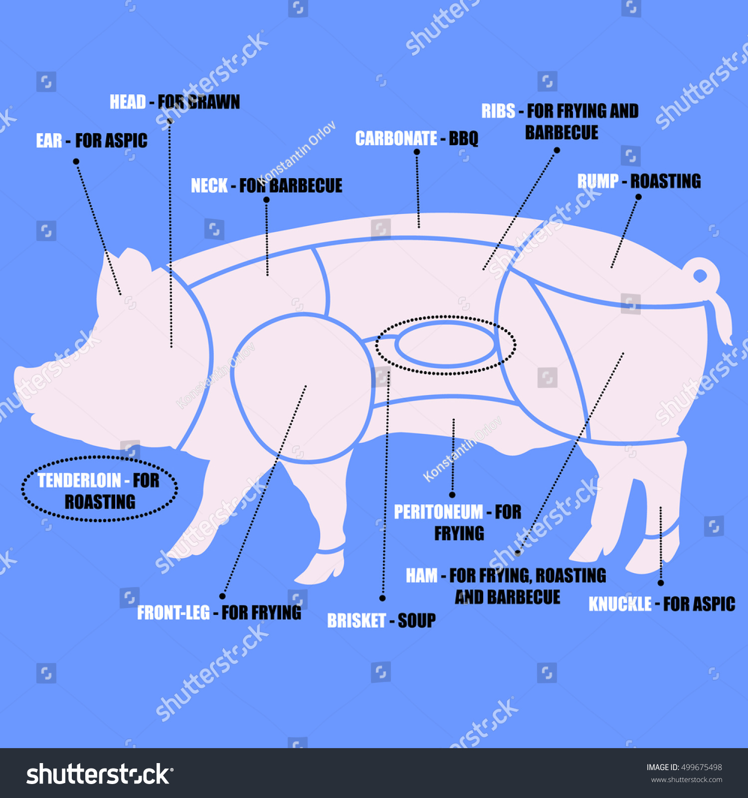 Vector Diagram Cutting Pork Stock Vector (Royalty Free) 499675498 ...